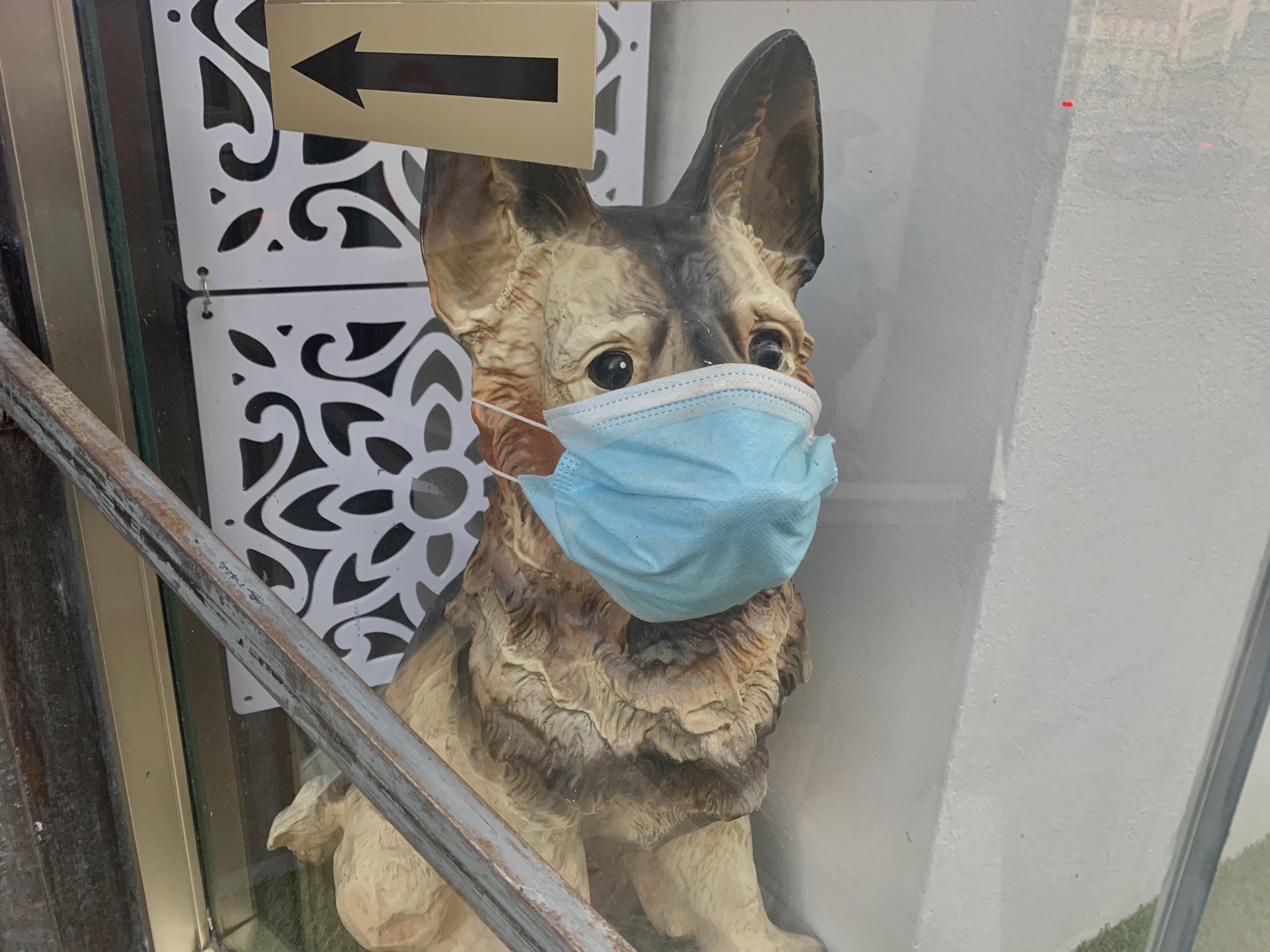 A porcelain fever dream | Scrolller