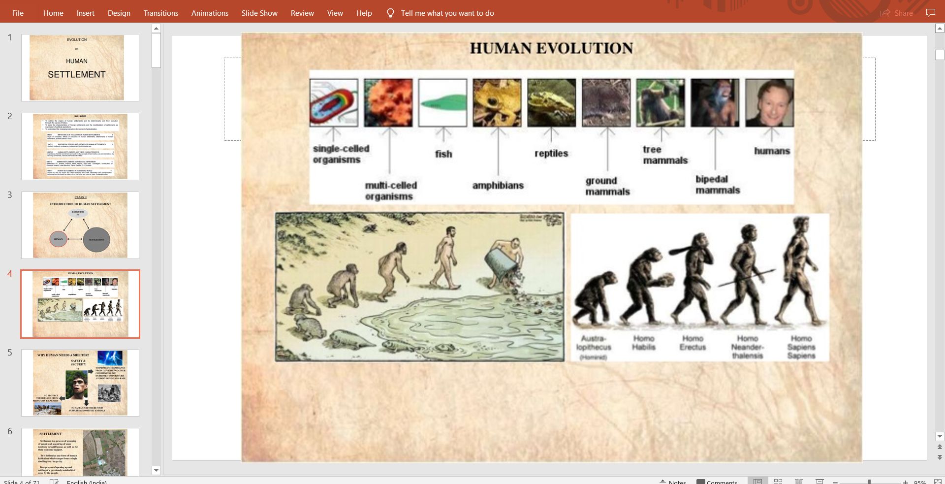 A presentation on Human Evolution in my class. Conan was the ultimate goal. | Scrolller