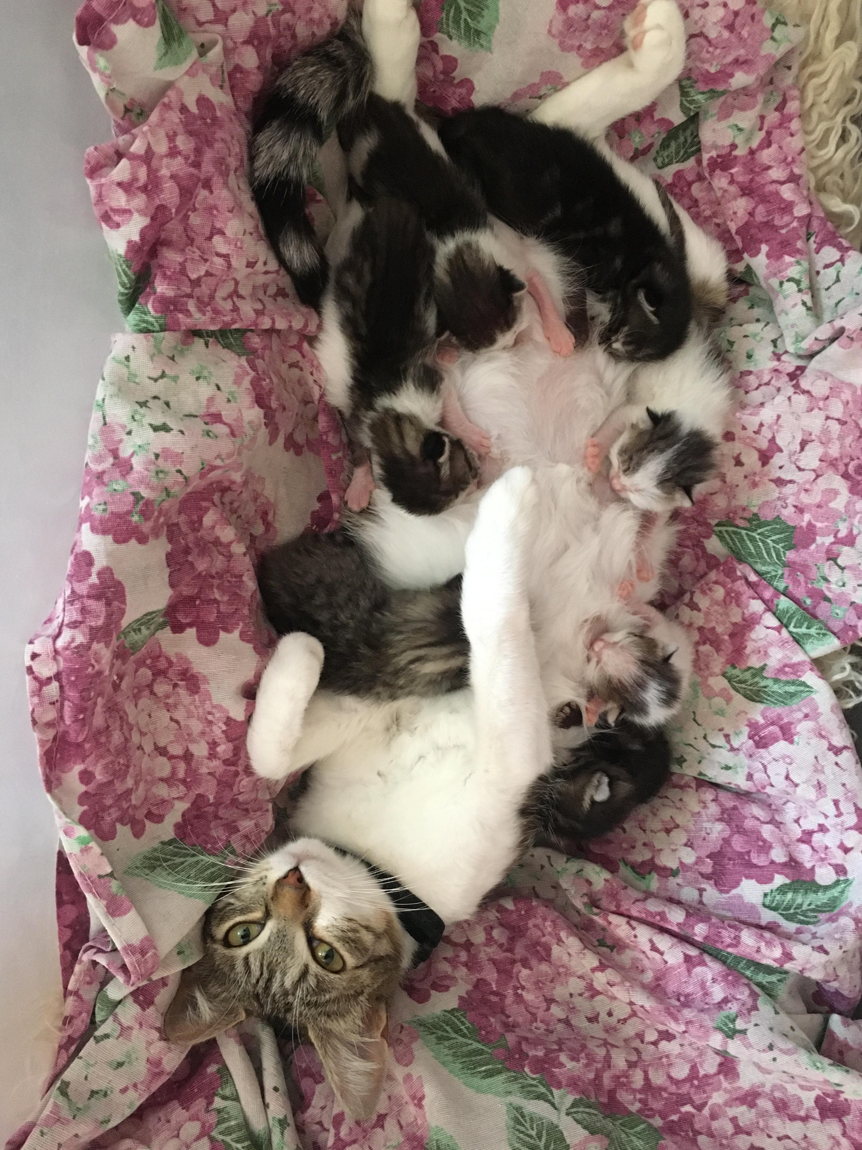 A proud mummy | Scrolller