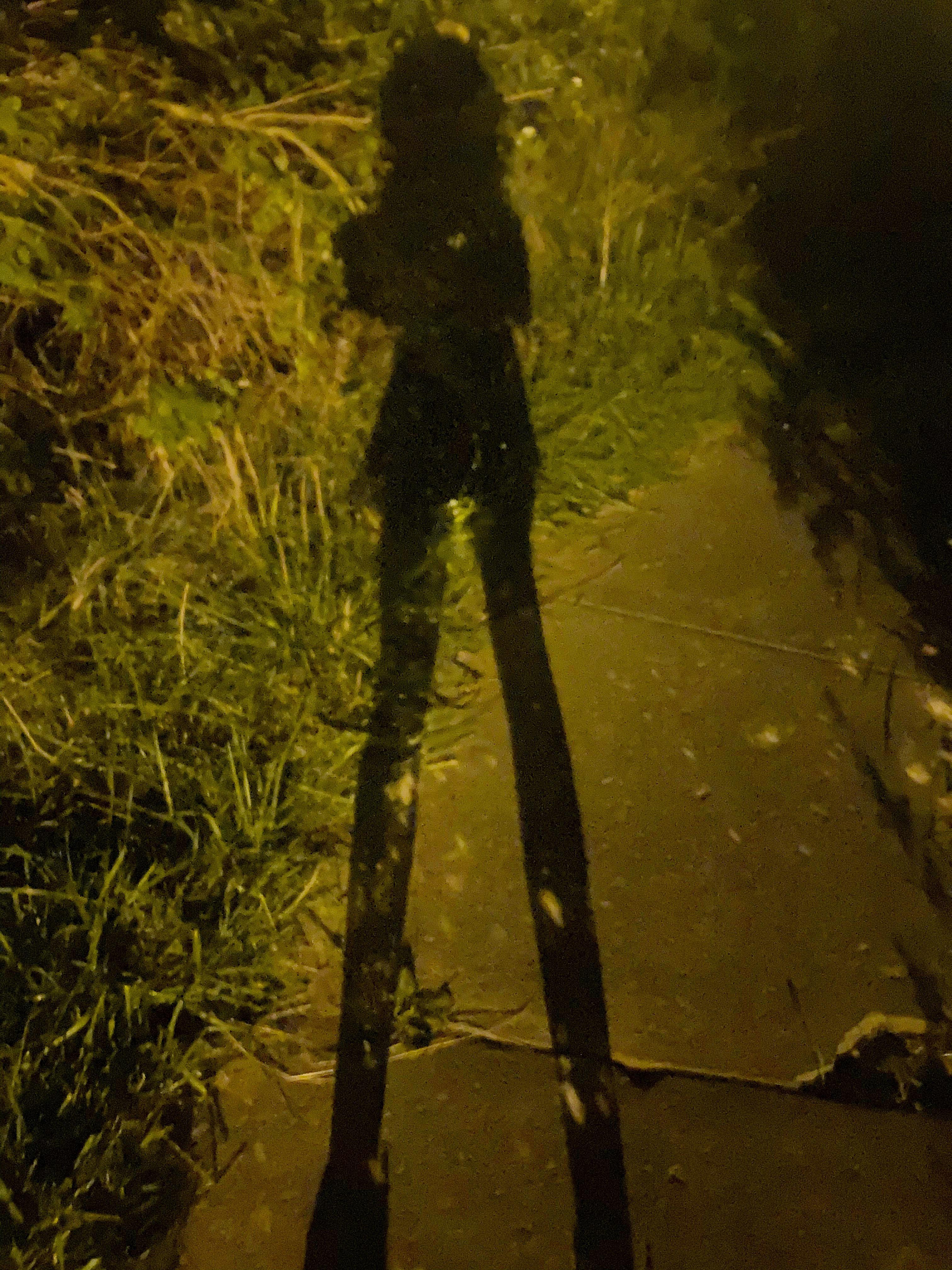 A rare sighting!!!! Femboy shadow in a skirt with nothing underneath!!! | Scrolller