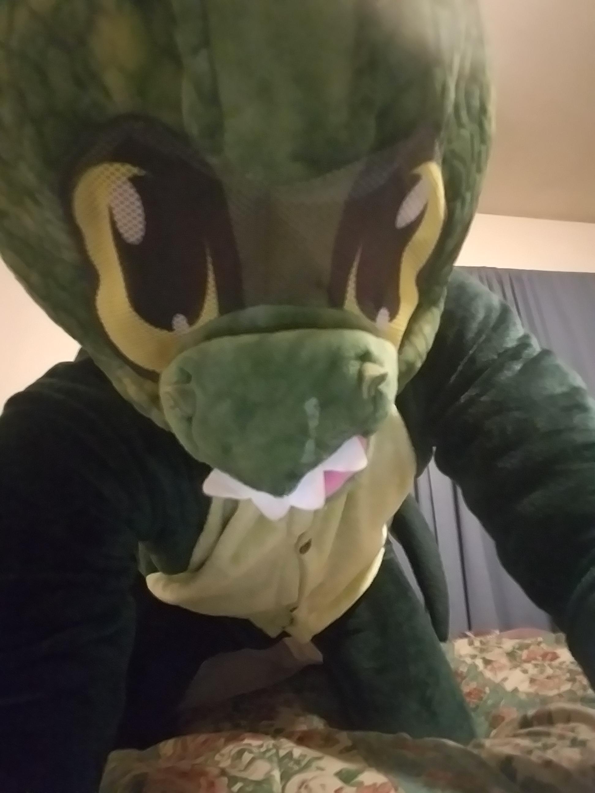 A Rawr For Everyone Owo Scrolller