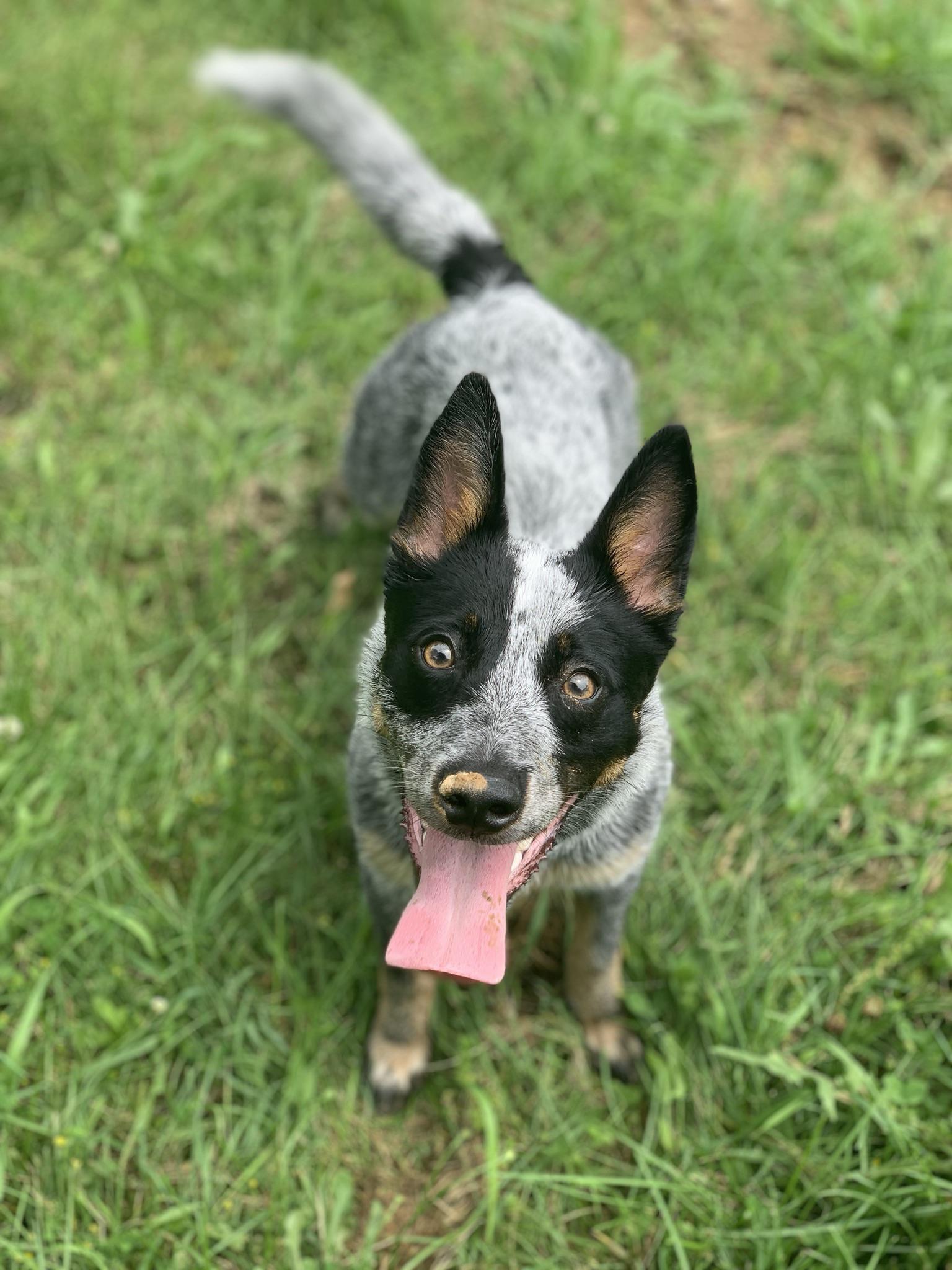 A real brown-noser | Scrolller