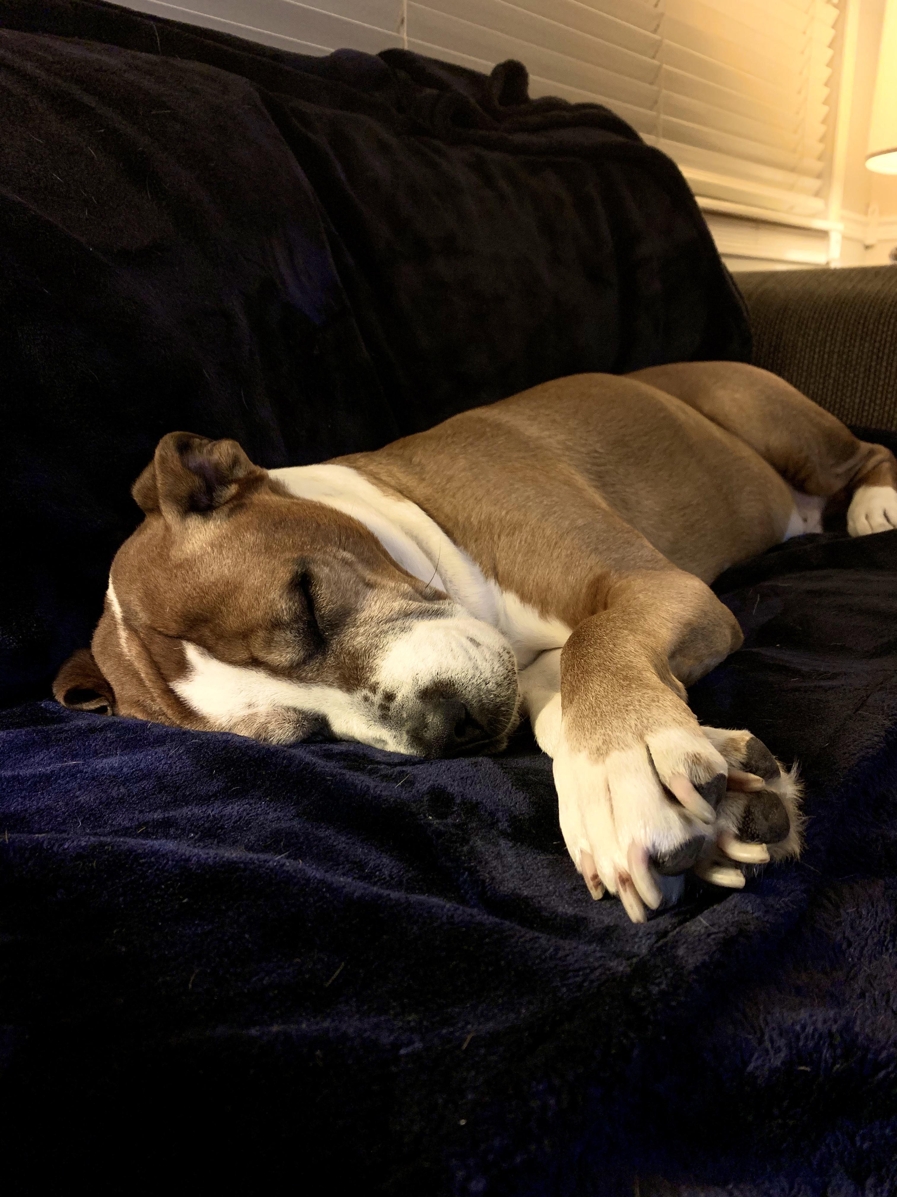 A royal rest | Scrolller