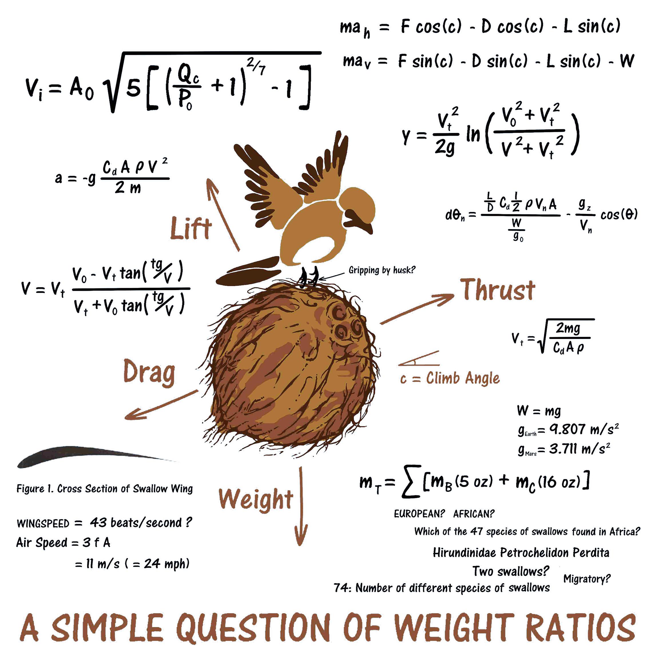 A simple question of weight ratios | Scrolller