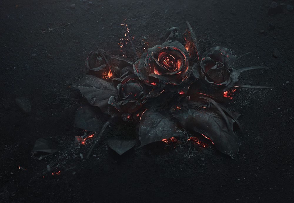 A smoldering bouquet of roses | Scrolller