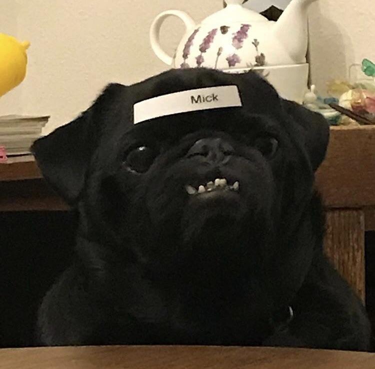 A special boi | Scrolller