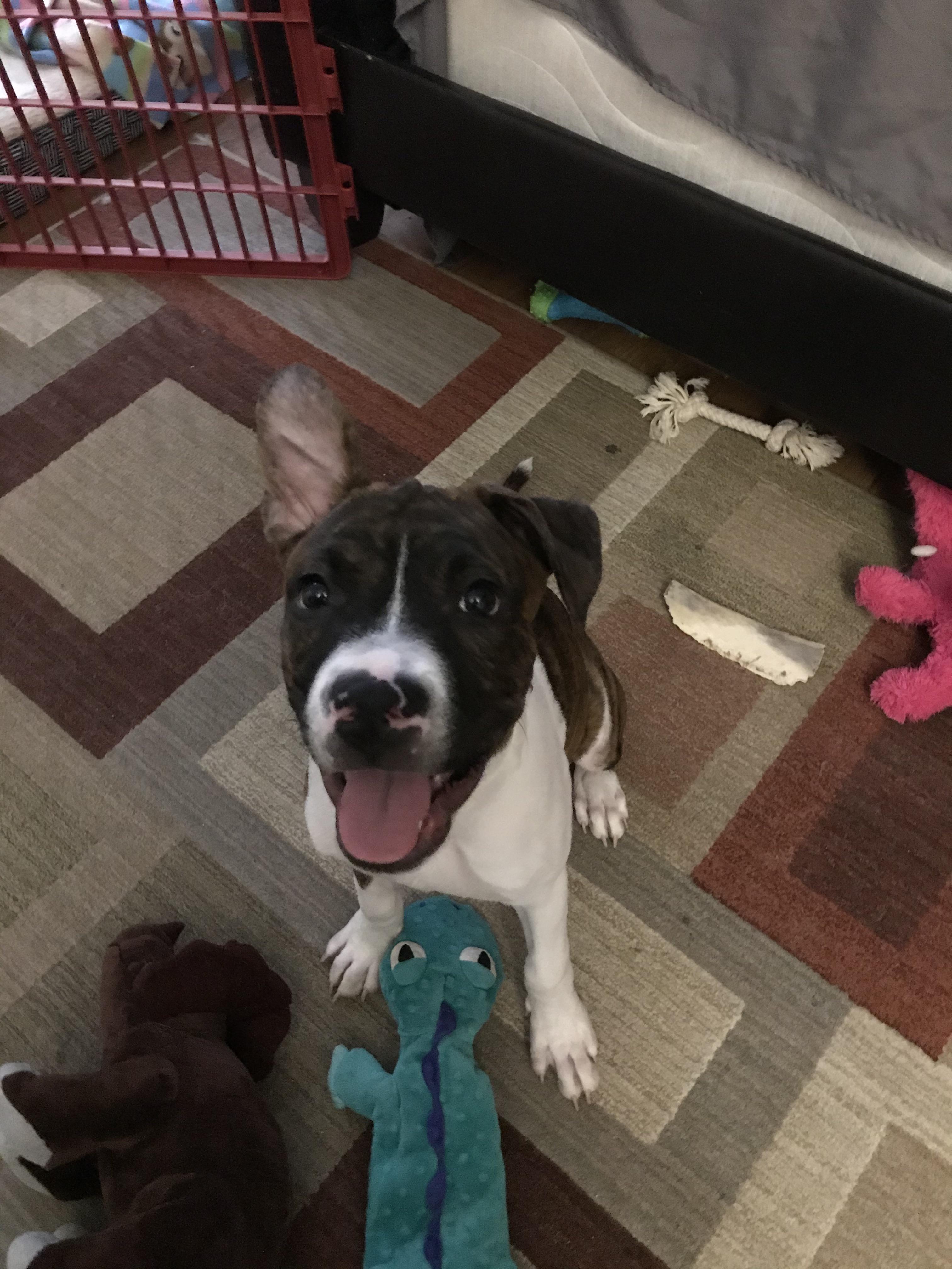 a stink boy being stinky! | Scrolller