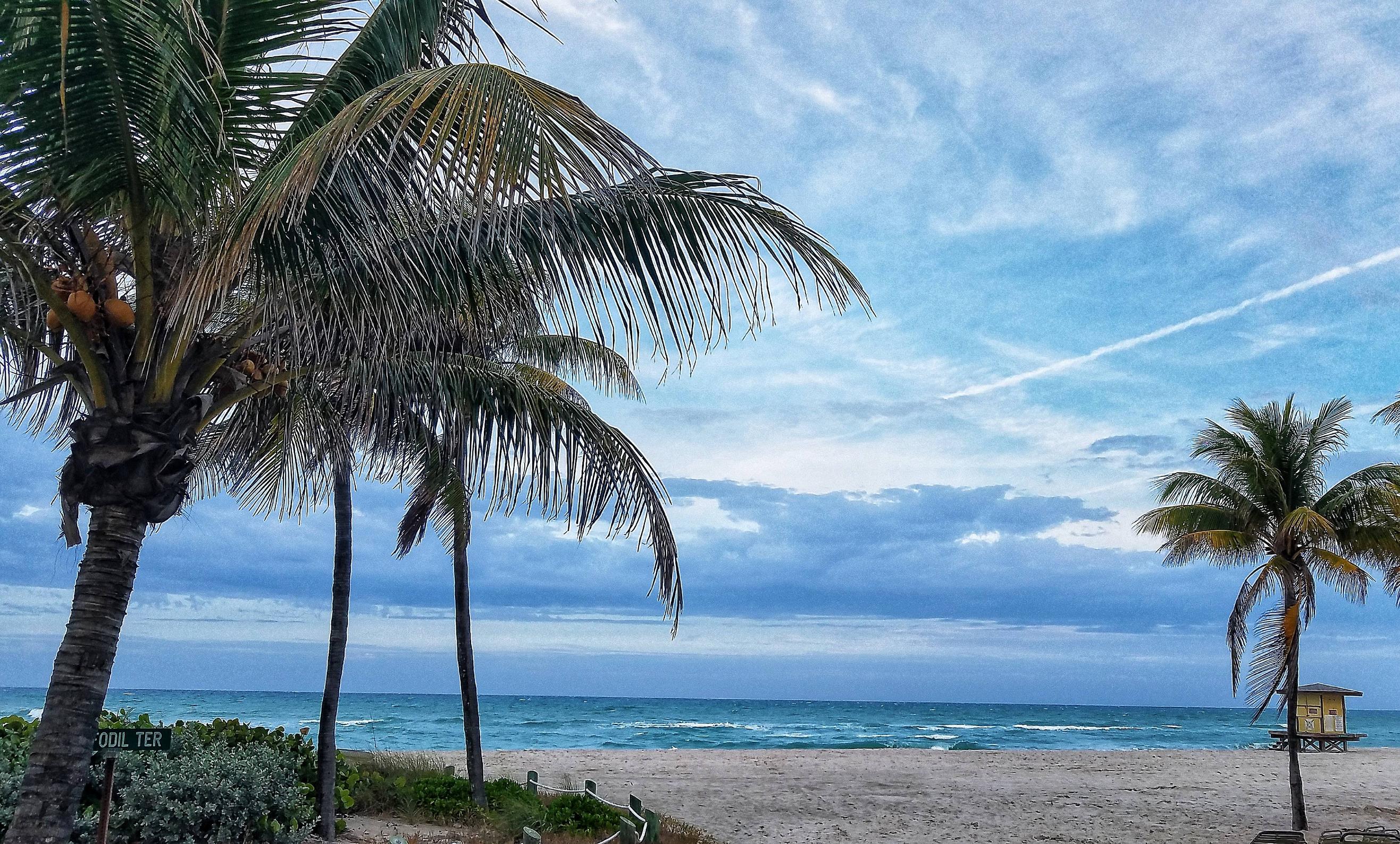 A storm coming in Florida | Scrolller
