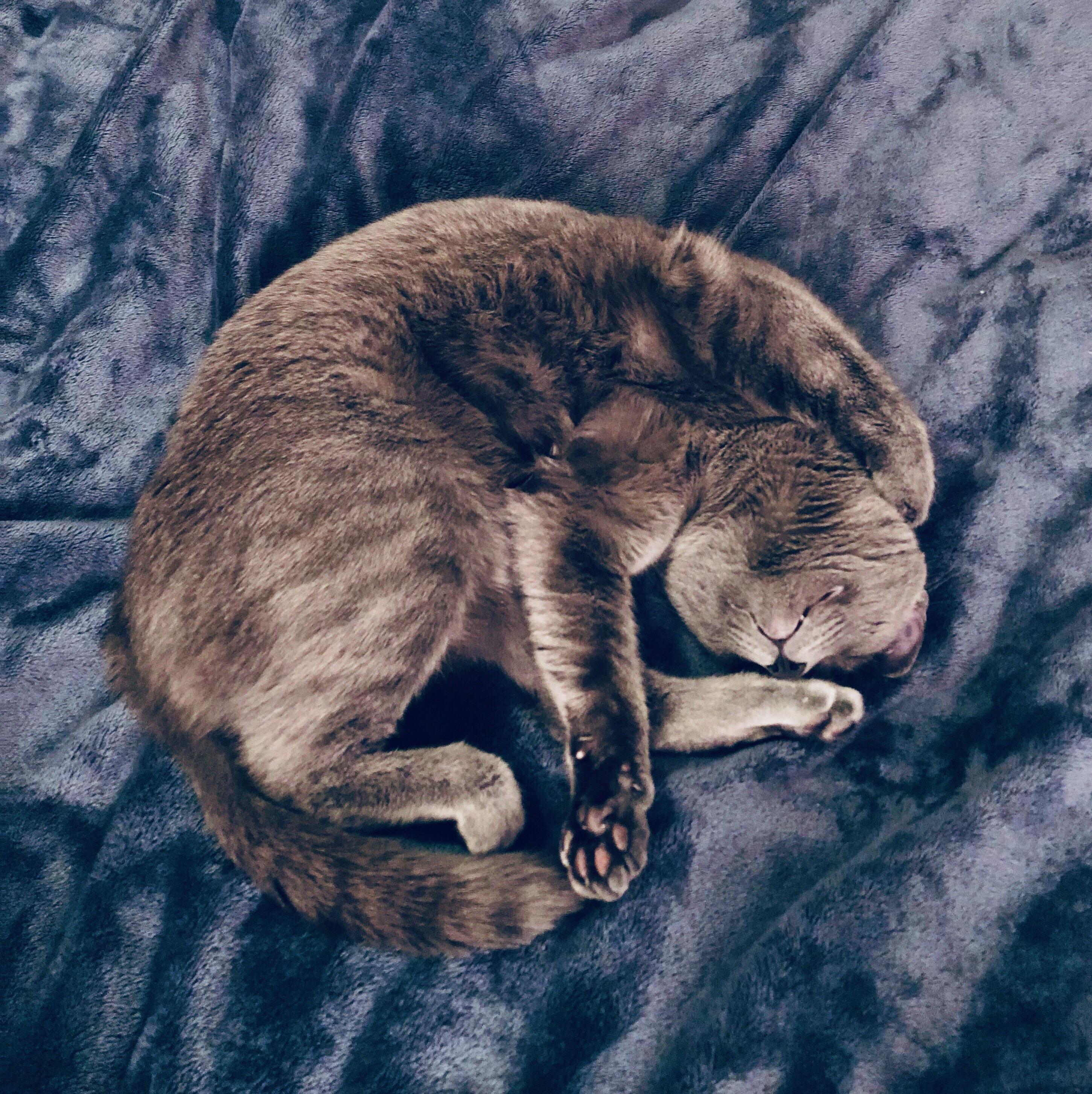 A Stormy Spiral | Scrolller