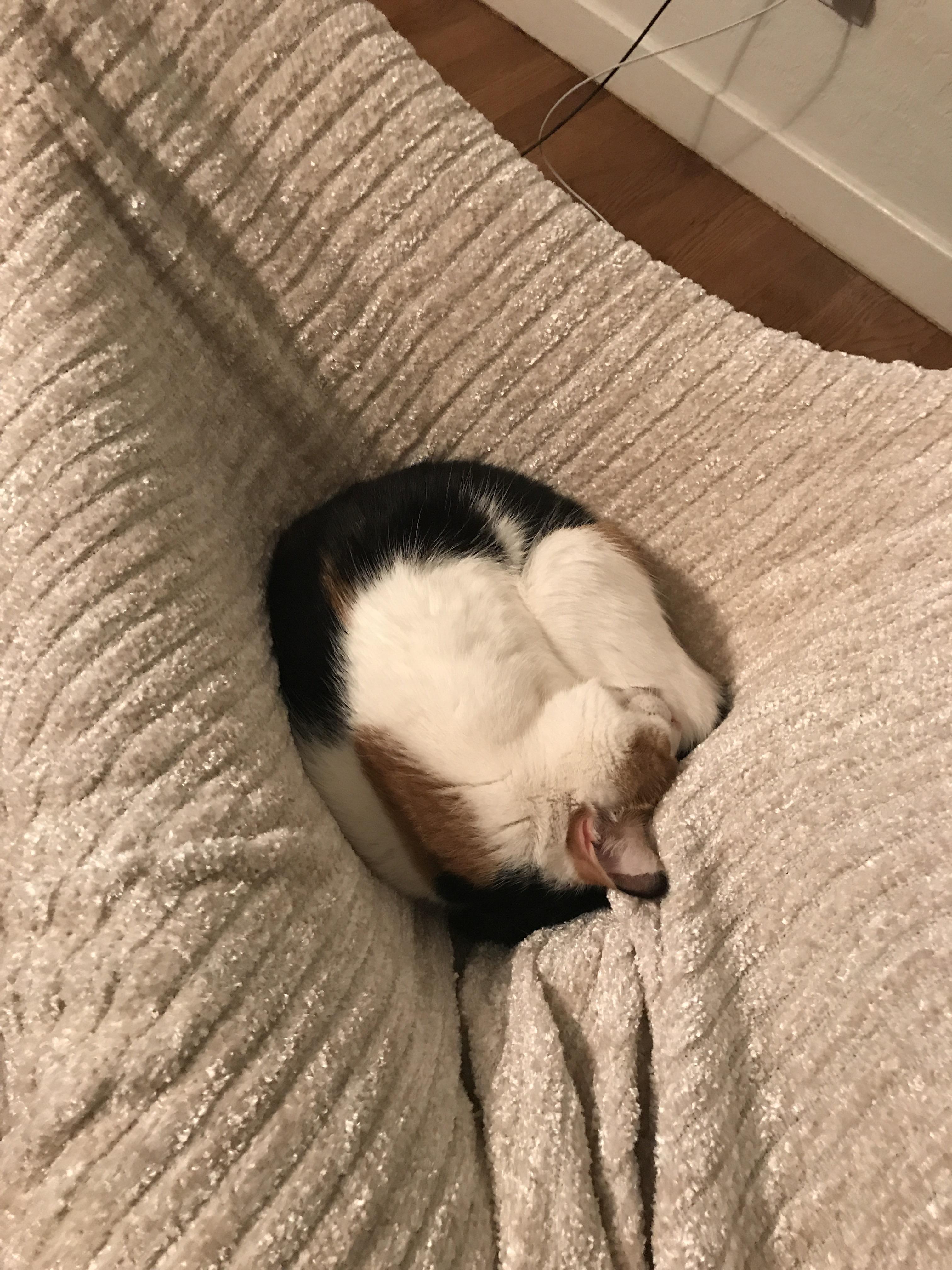 A suspended circle. | Scrolller