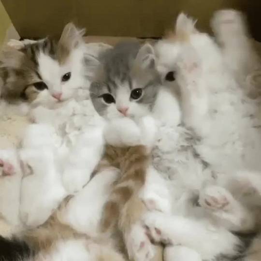 a tight box | Scrolller