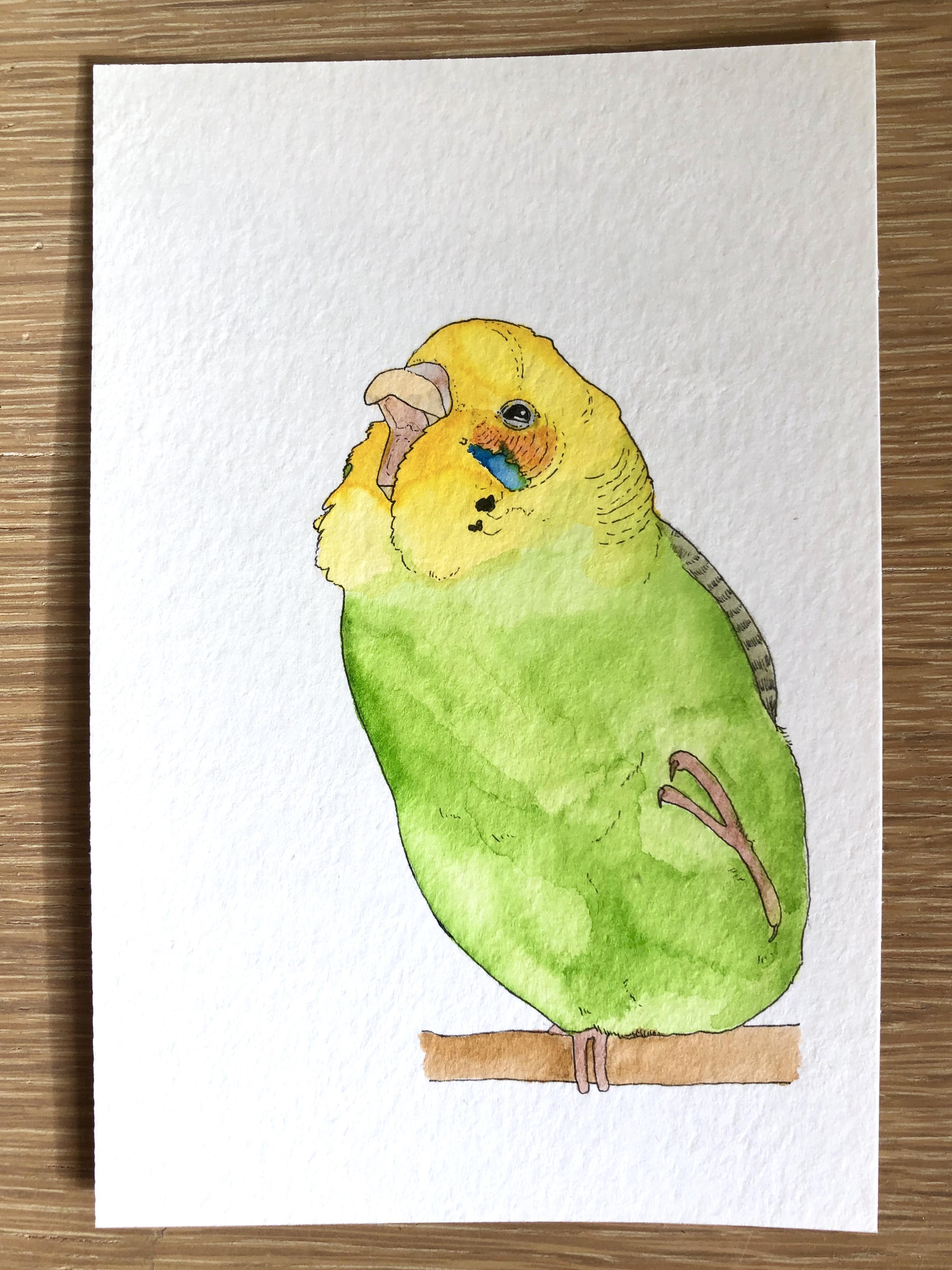 a tiny bean...but a mighty one!!! | Scrolller