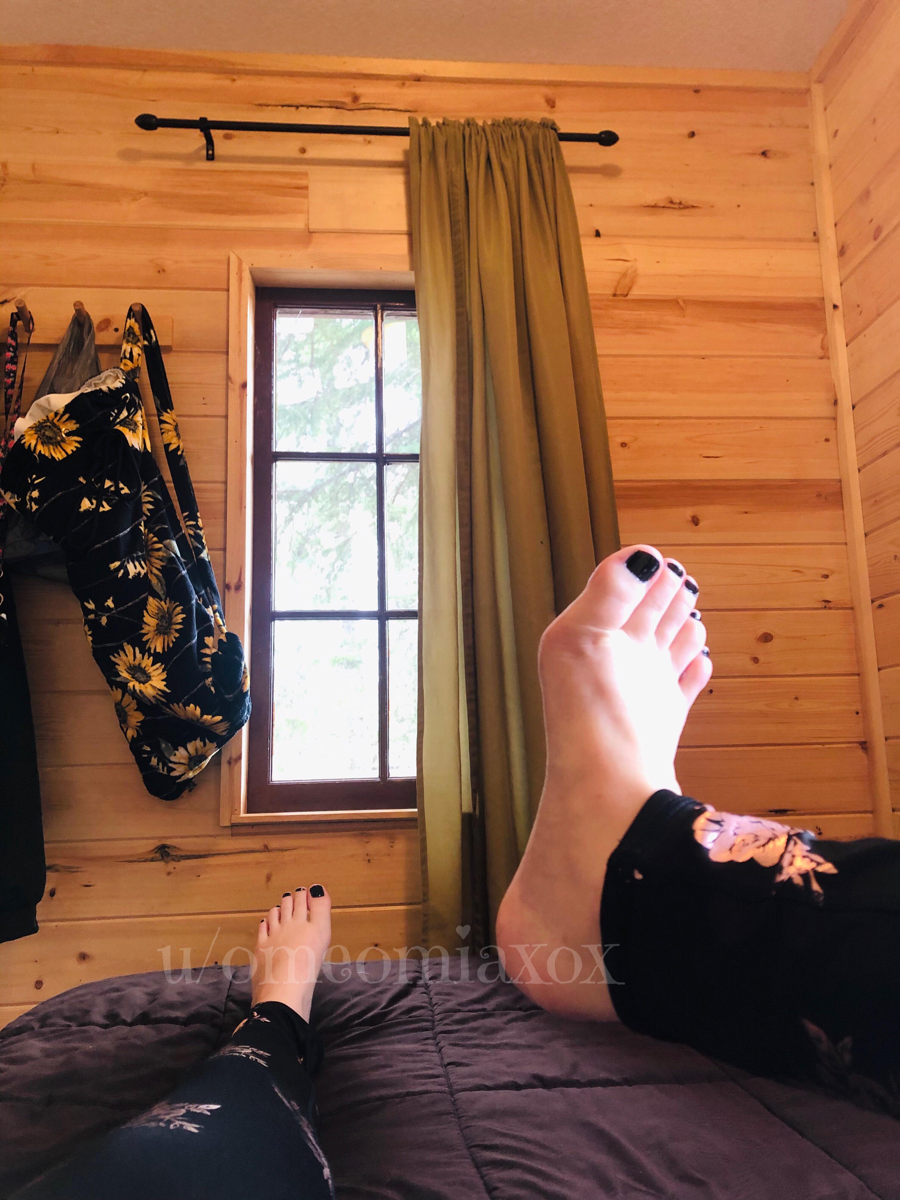 A Tiny Cabin for Some Even Tinier Feet 🏕 | Scrolller