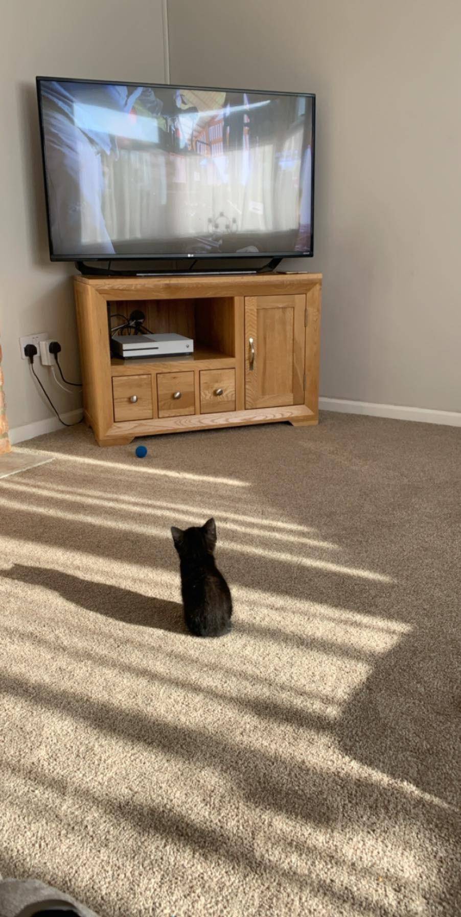 A tiny dot watching TV. | Scrolller