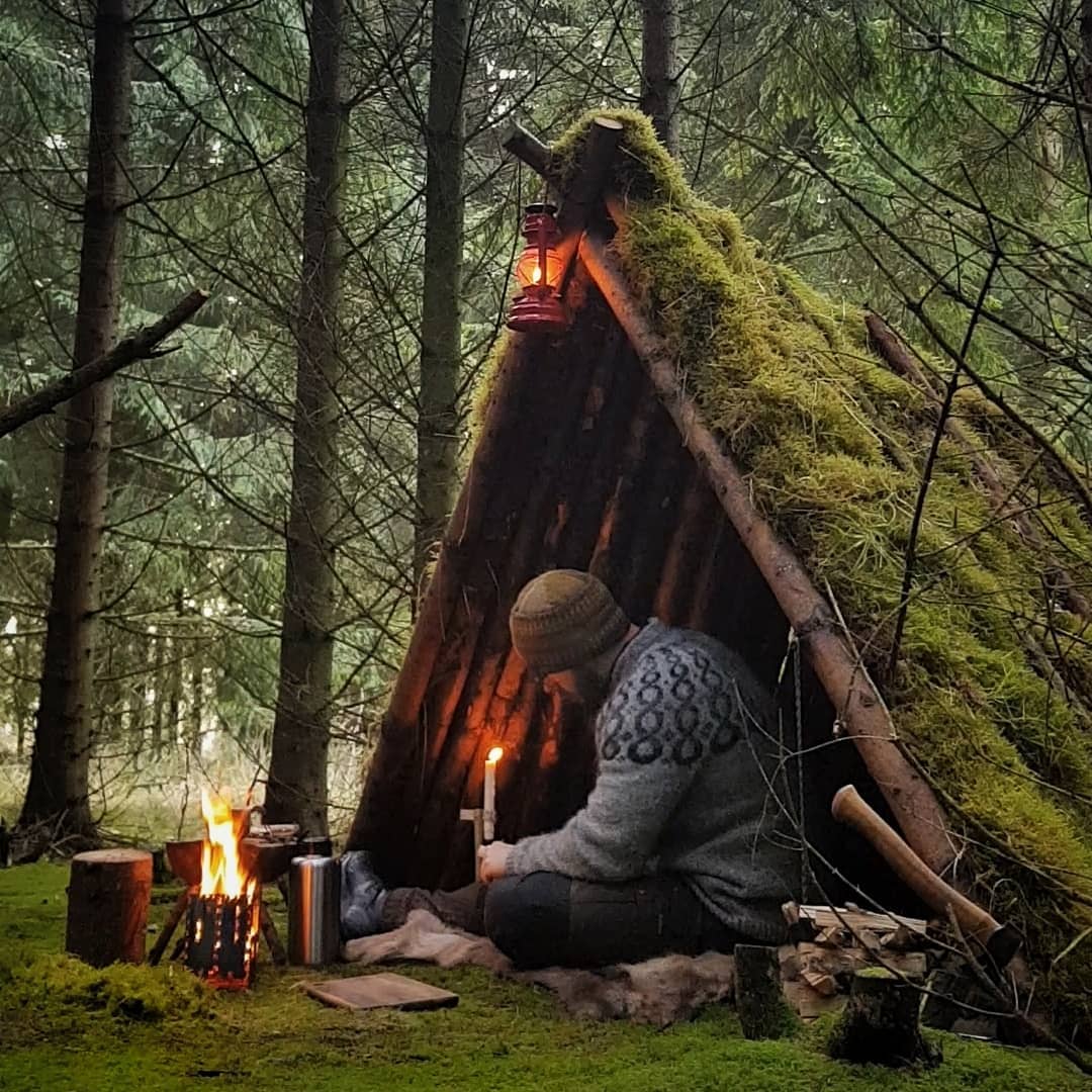 A Tree-Framed Structure Nestled in the Woods | Scrolller