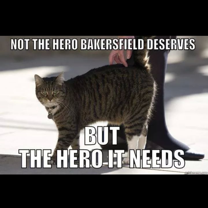 A true hero | Scrolller