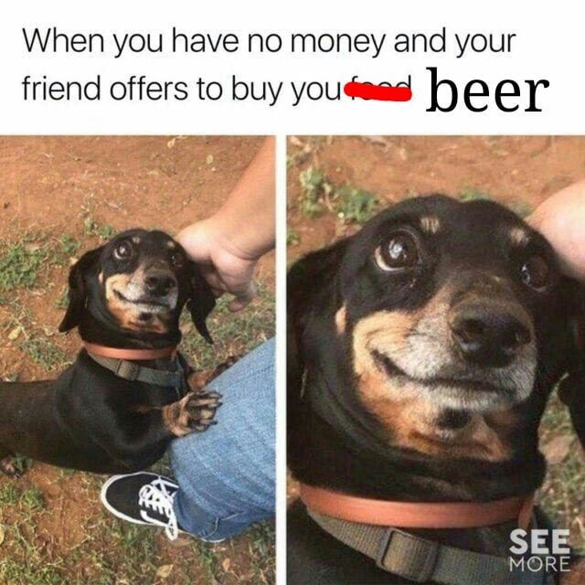 A true hero | Scrolller