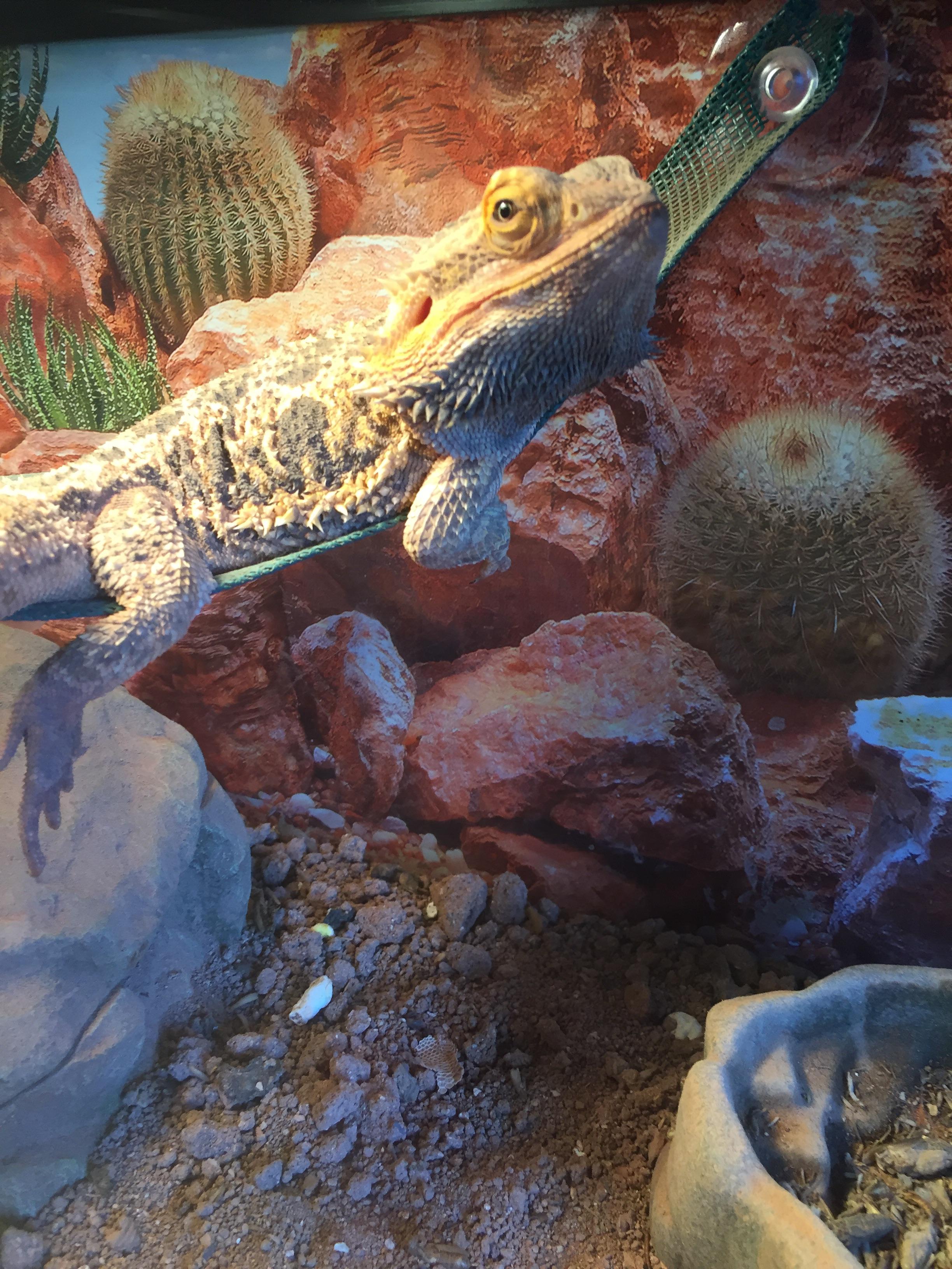 A very handsome boy | Scrolller