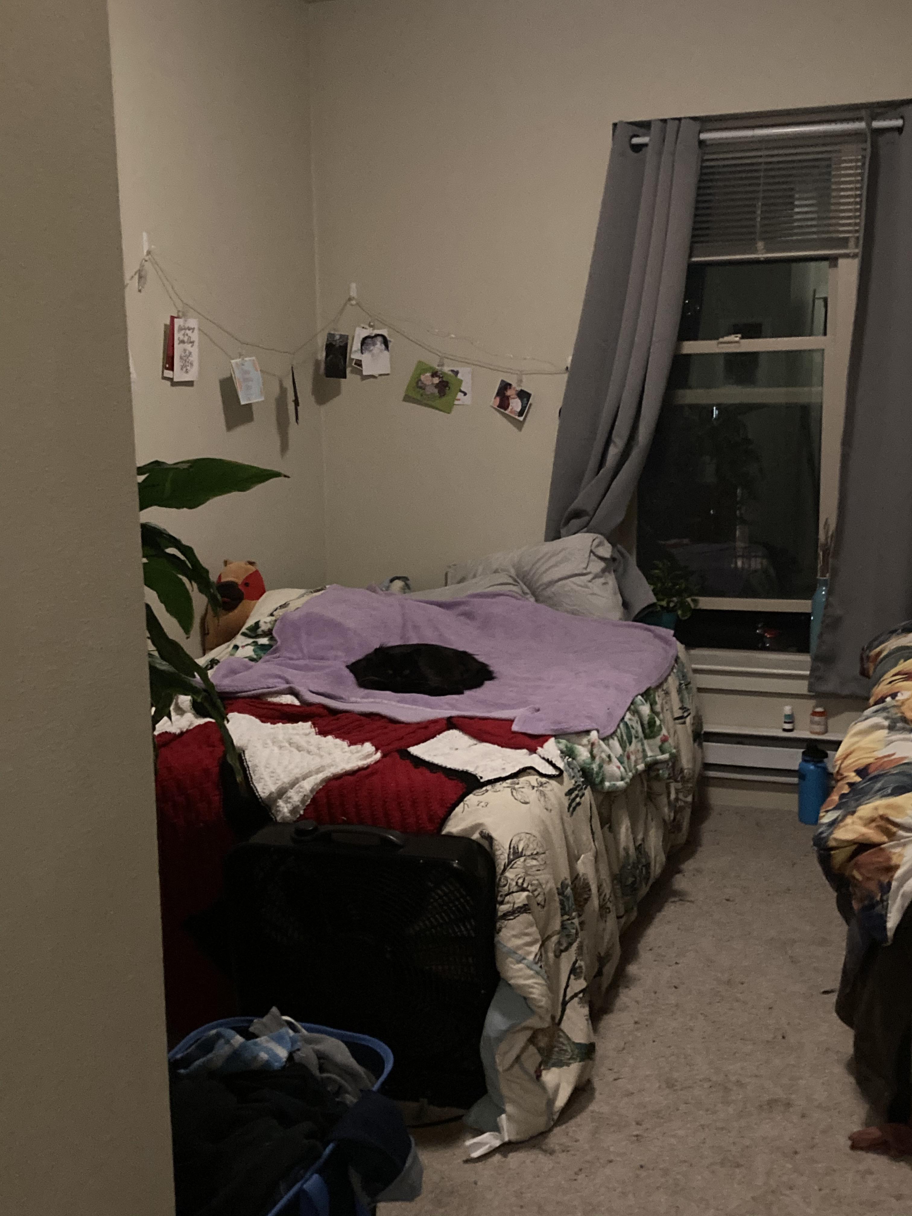 A void has opened up on the bed! | Scrolller