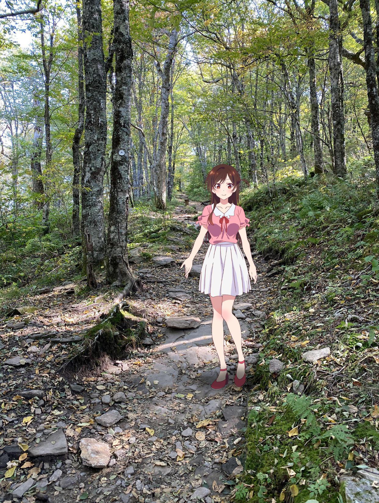 A walk through the forest | Scrolller