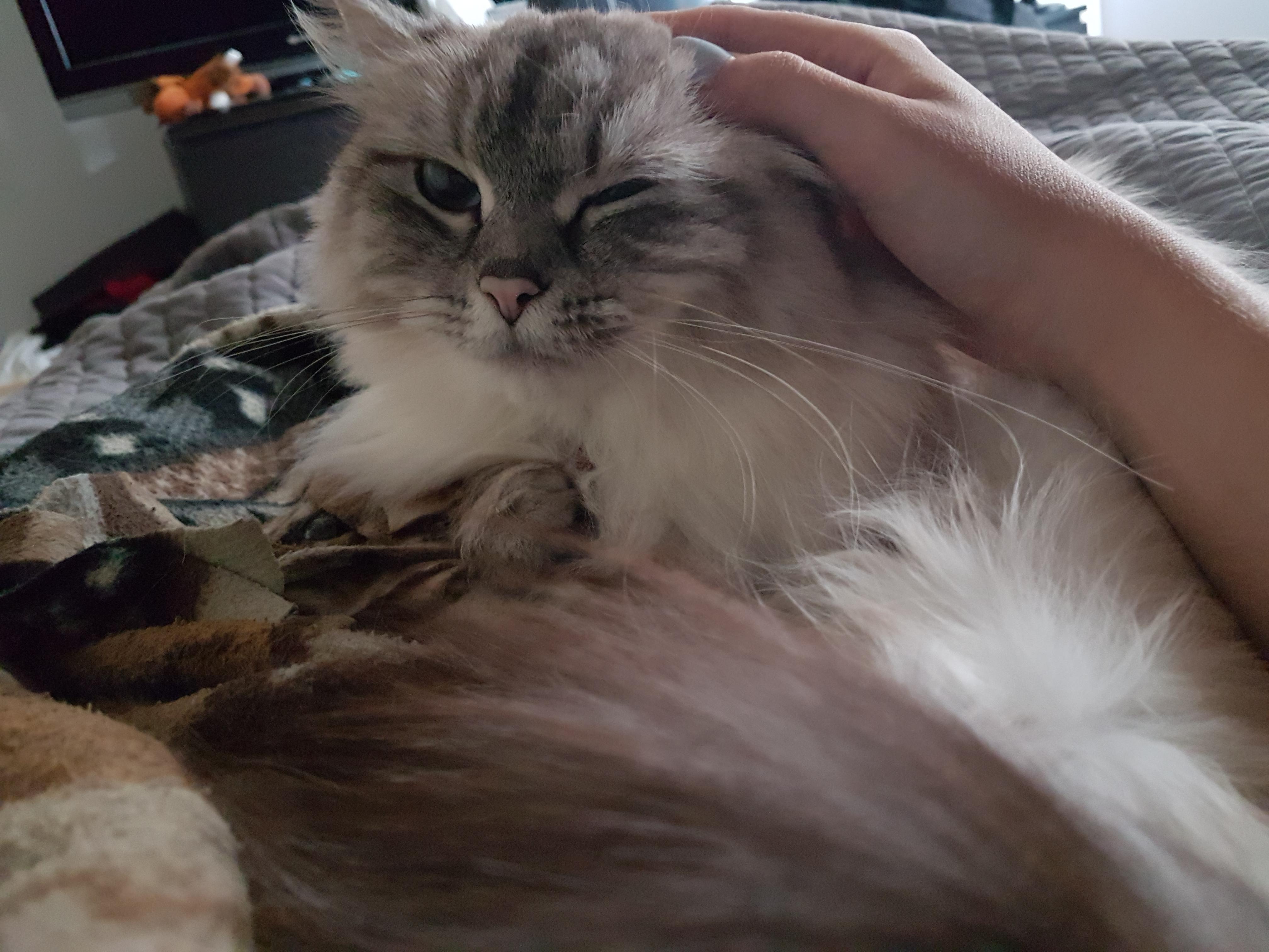 A week away from this girl is too long, but the snuggles after reuniting are the best | Scrolller