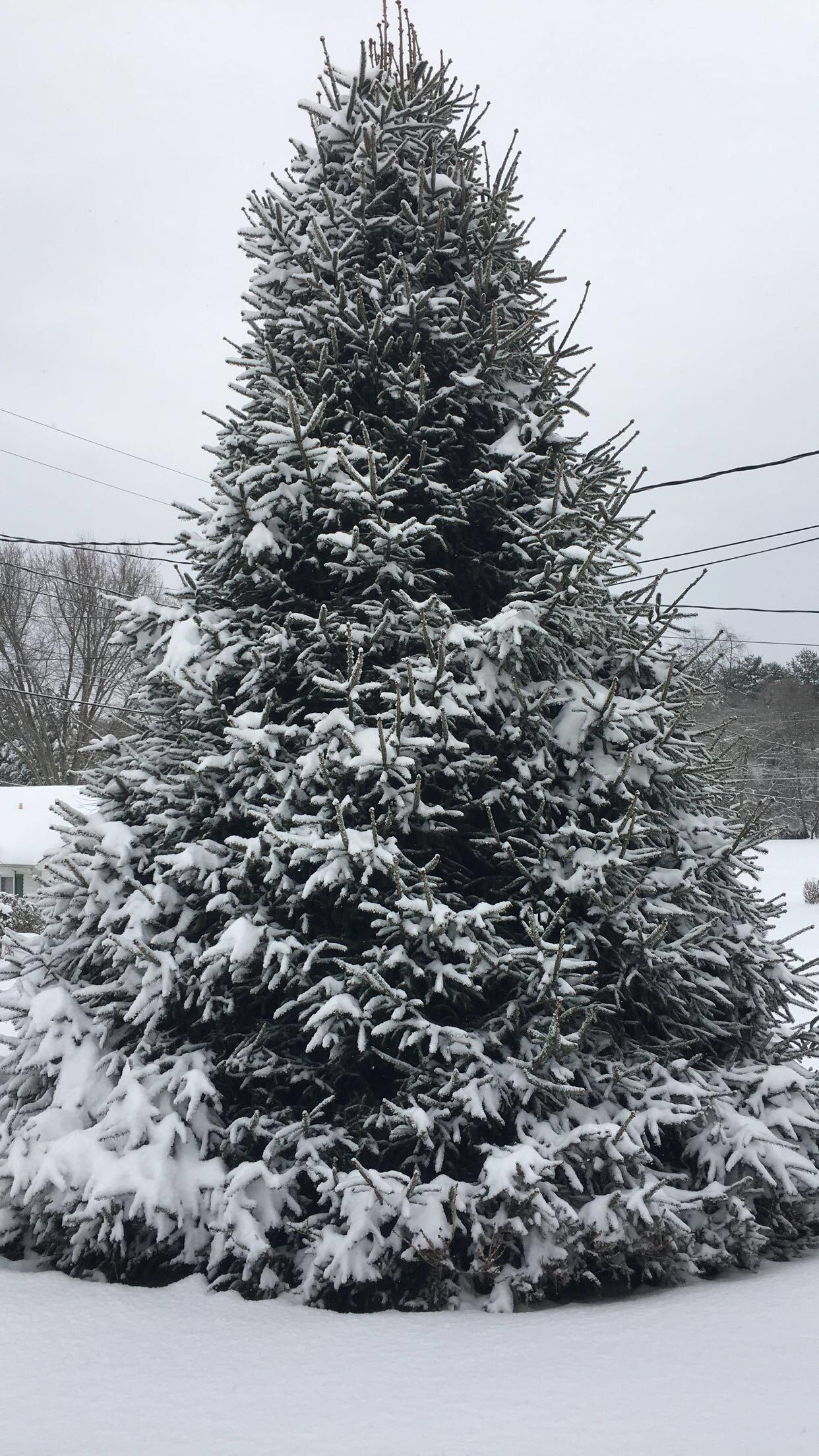 A winter wonderland | Scrolller