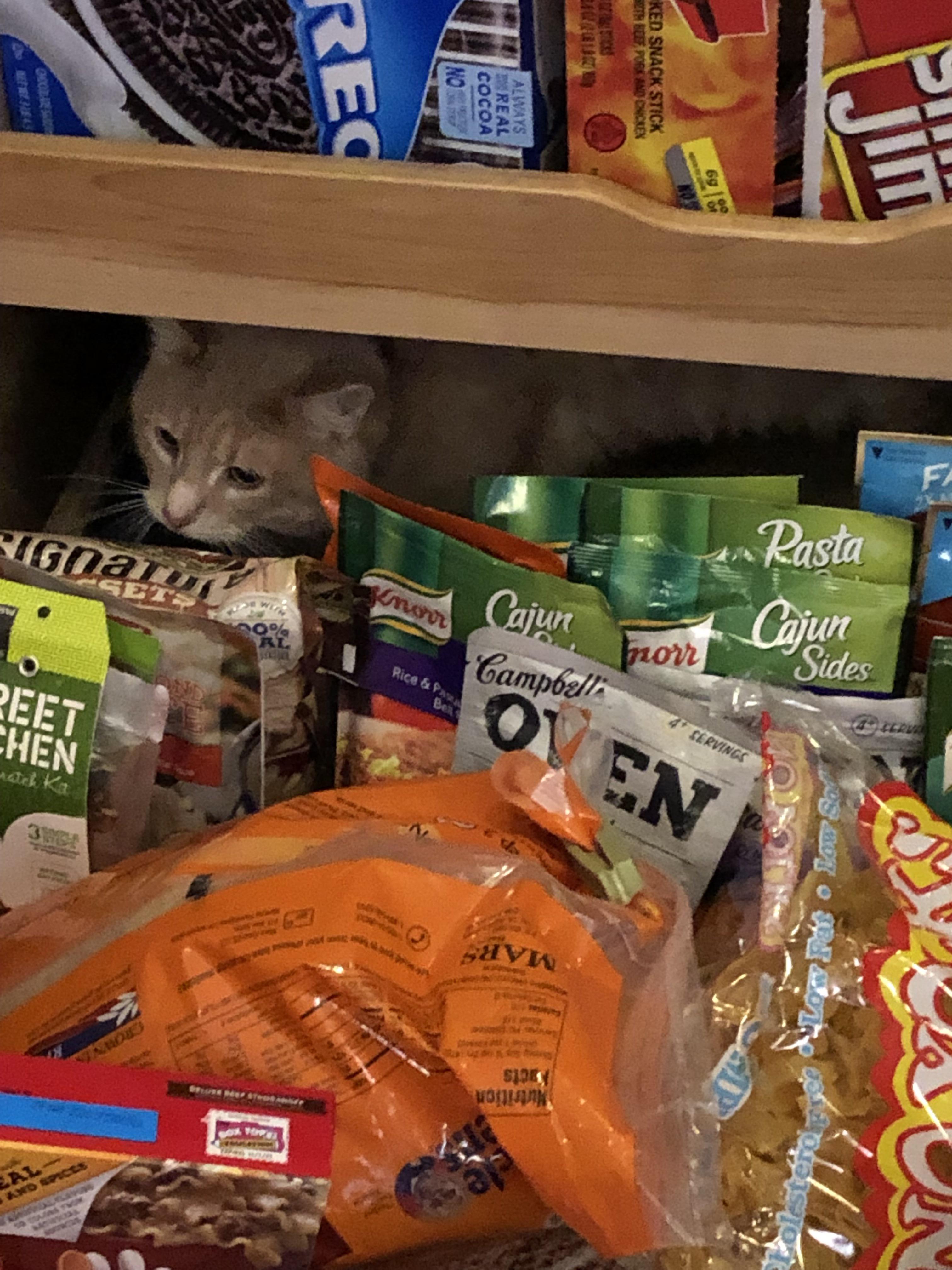 A working man restocking the shelves | Scrolller