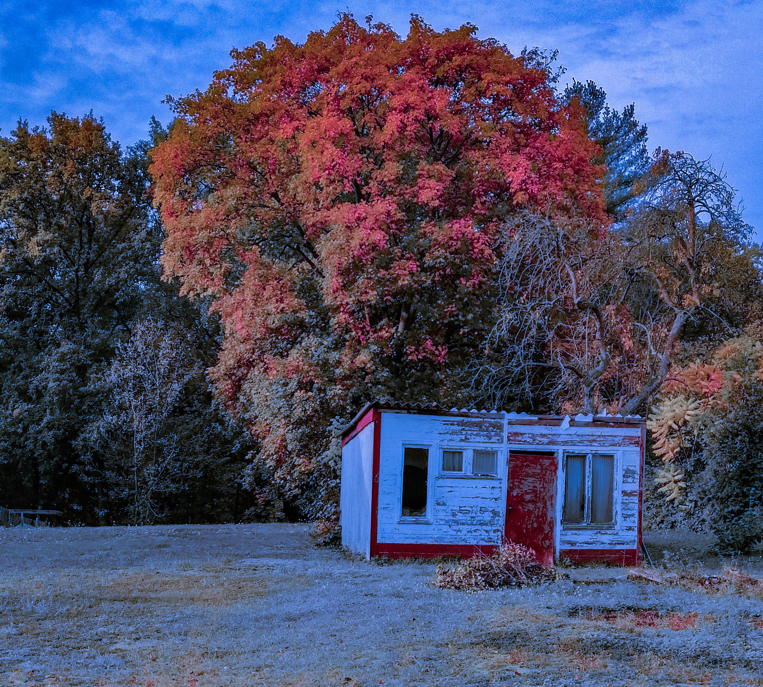 Abandoned cabin | Scrolller