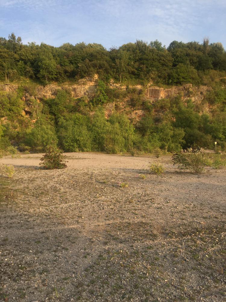 Abandoned quarry can be nice if you look at the right places | Scrolller