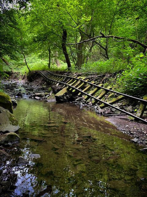 Abandoned railroad tracks in forest | Scrolller