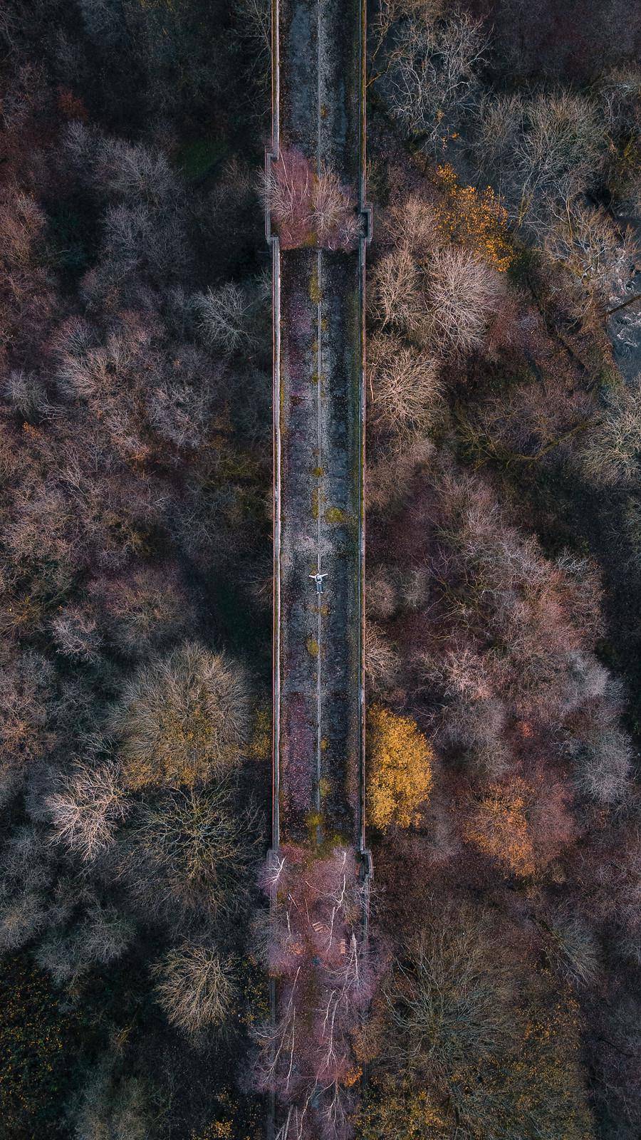 Abandoned Railway Viaduct [oc] | Scrolller