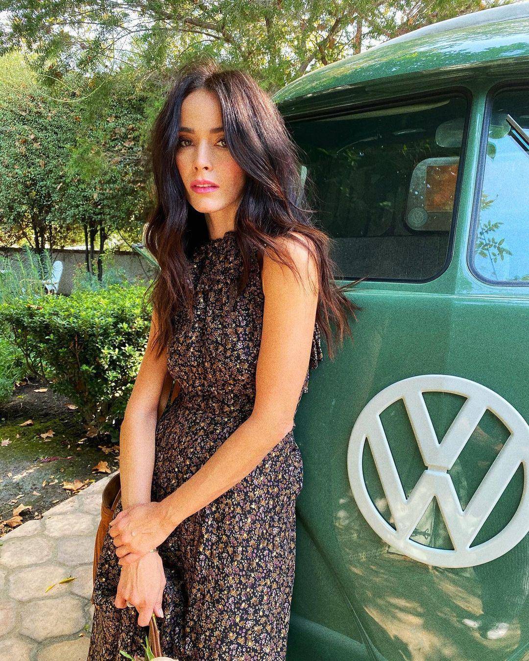 Abigail Spencer Scrolller 2834
