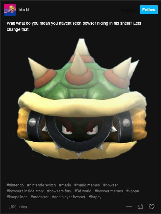 About Bowser and Shell | Scrolller