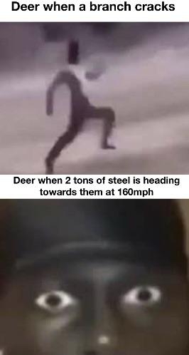 Absolute units | Scrolller