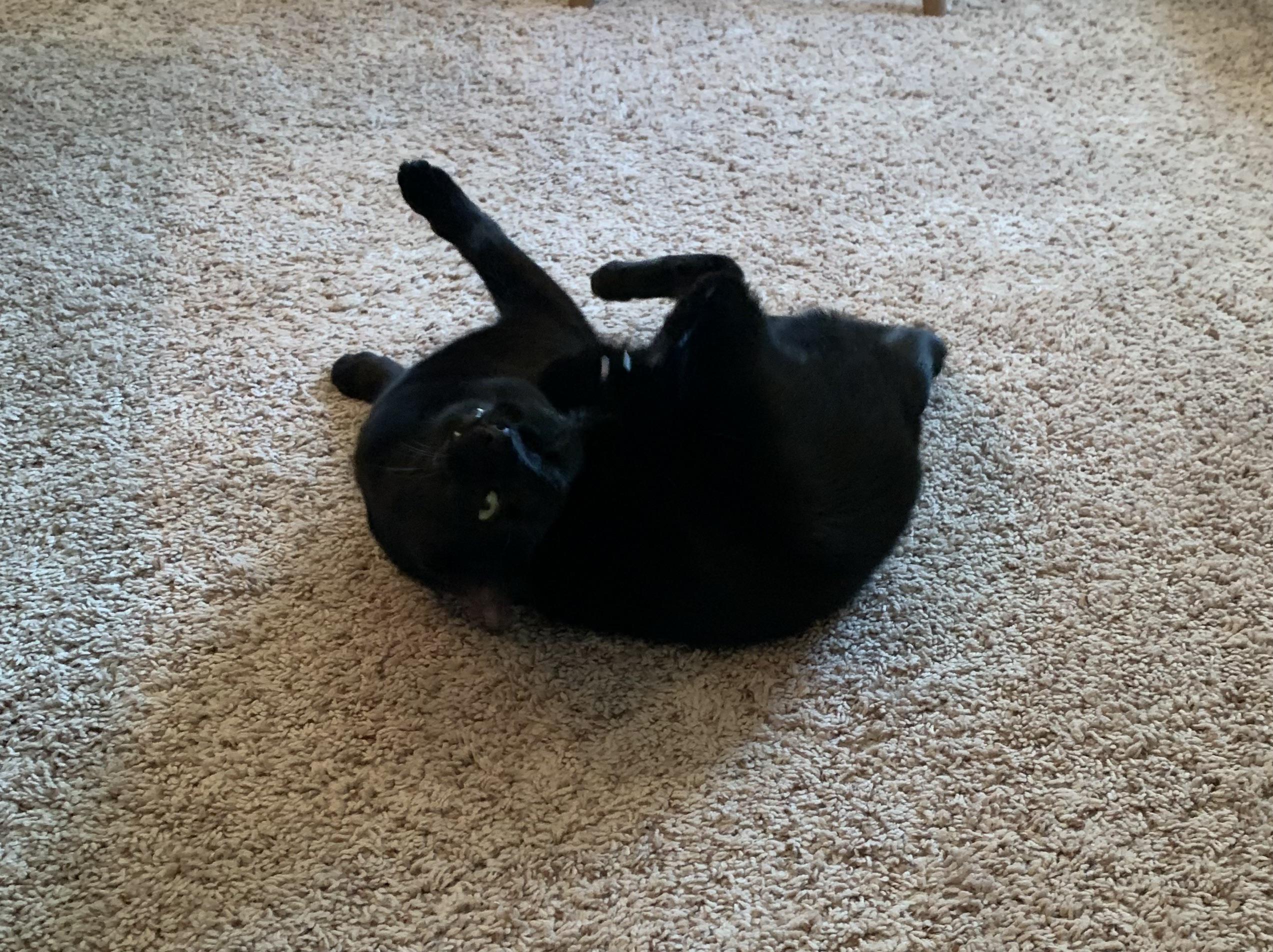 Absolutely broken. 💕 | Scrolller