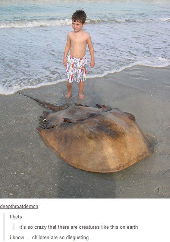 Absolutely disgusting | Scrolller