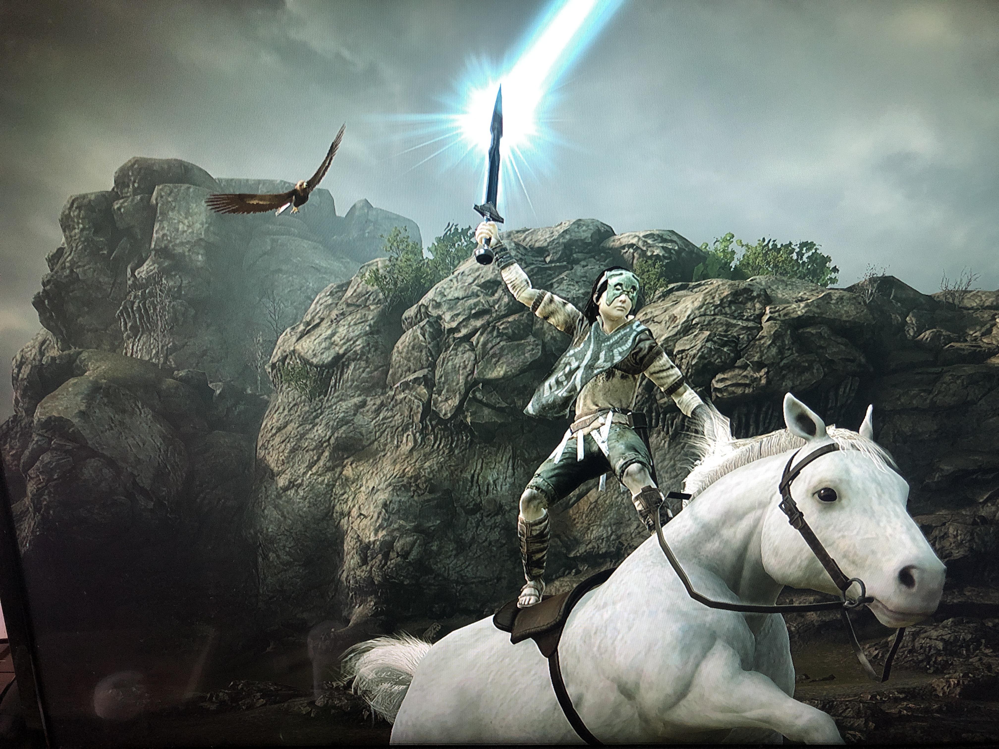 Accidentally caught this amazing shot | Scrolller