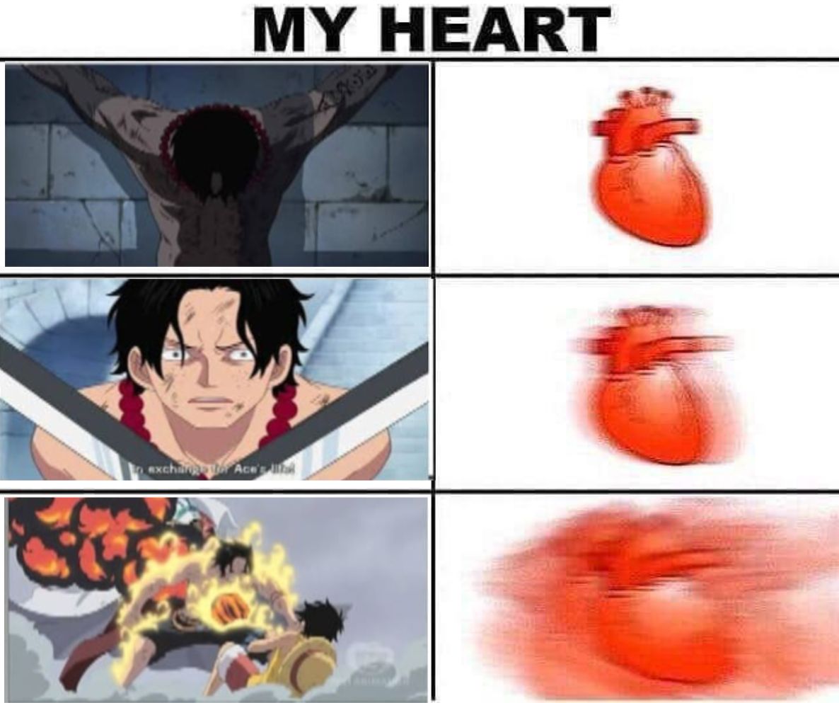 Ace 😭😭 | Scrolller