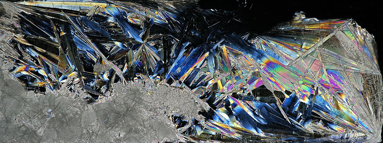 Acid Trip [OC] | Scrolller