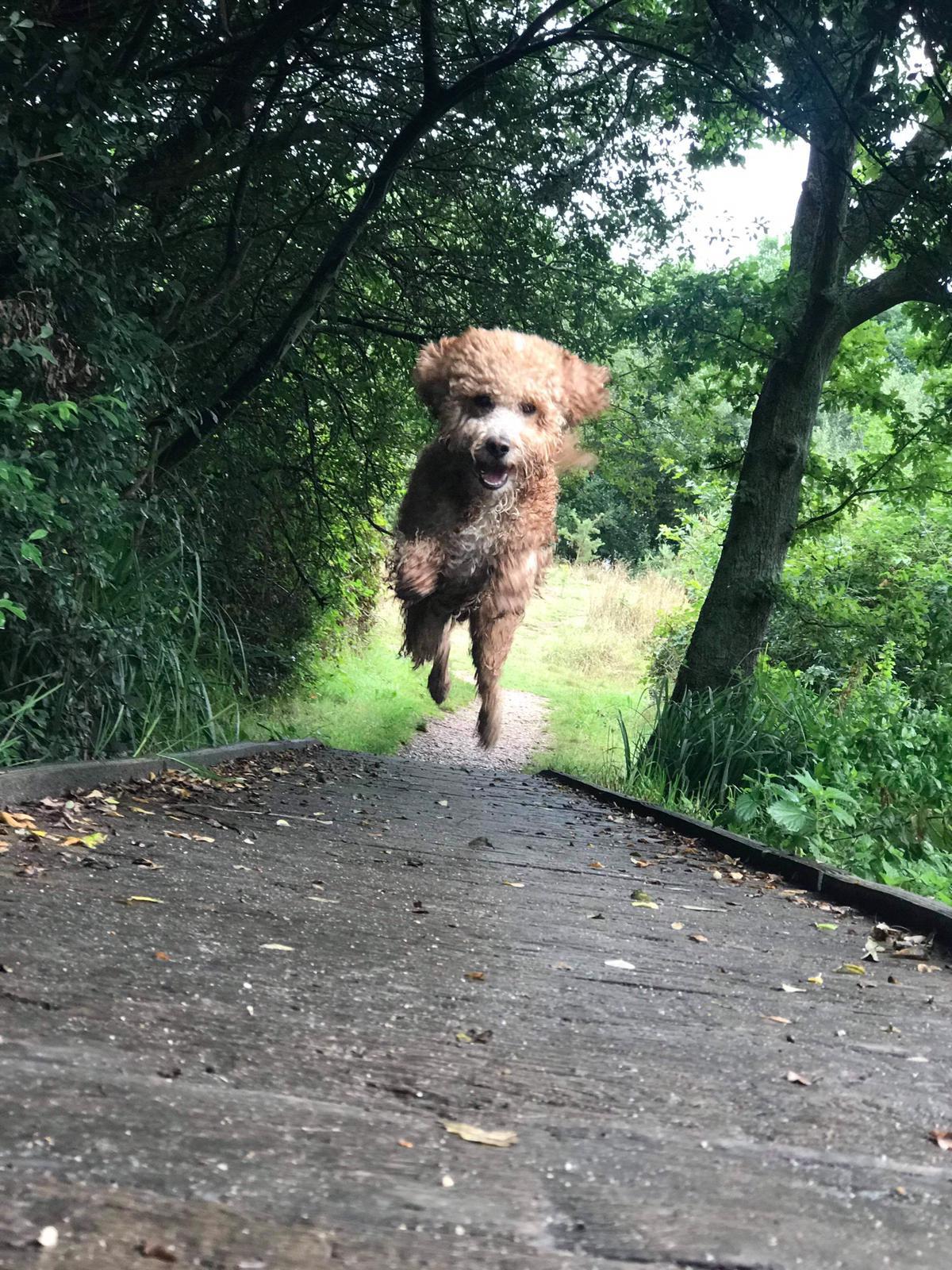 Action Shot | Scrolller