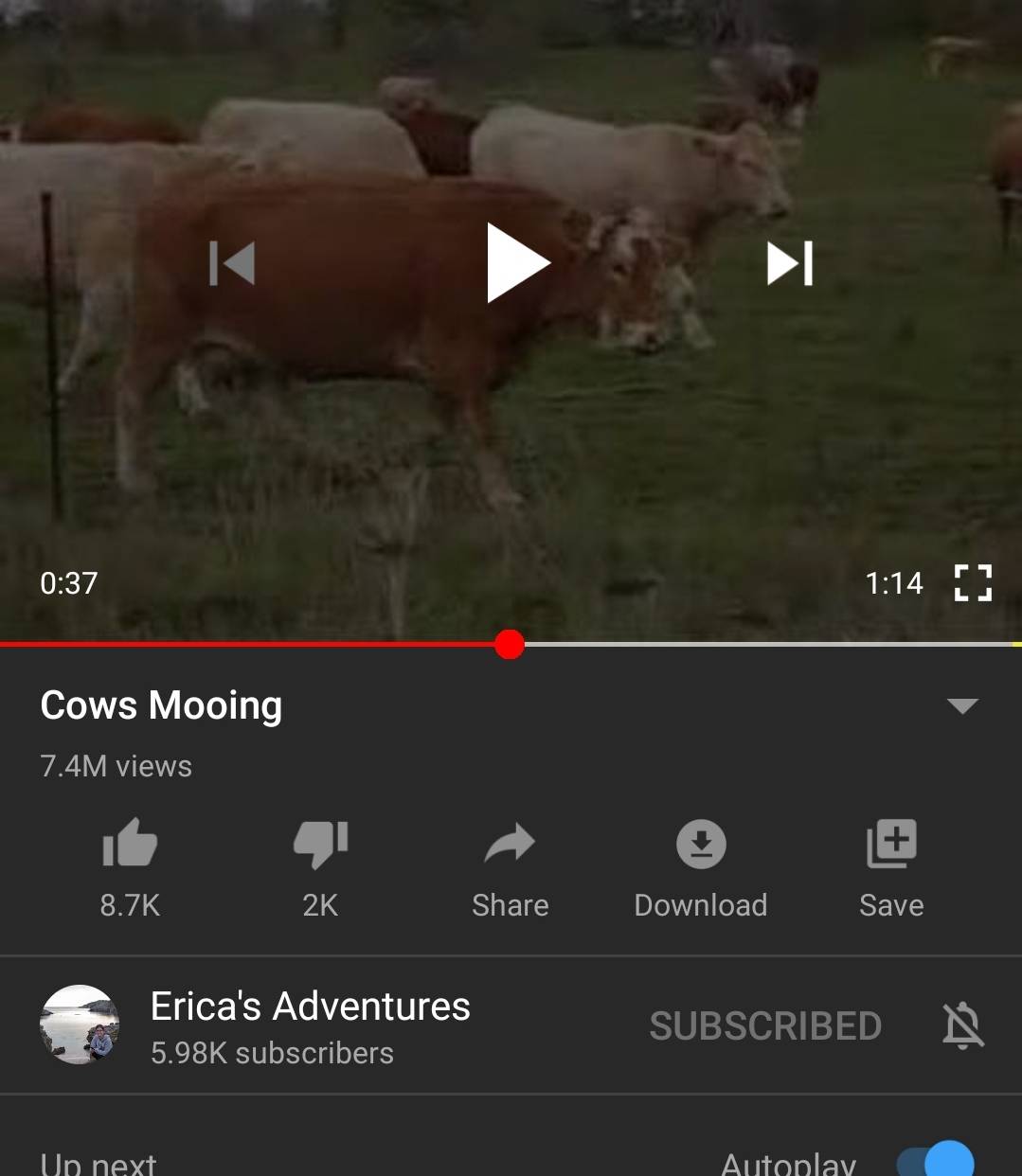 Adventures | Scrolller