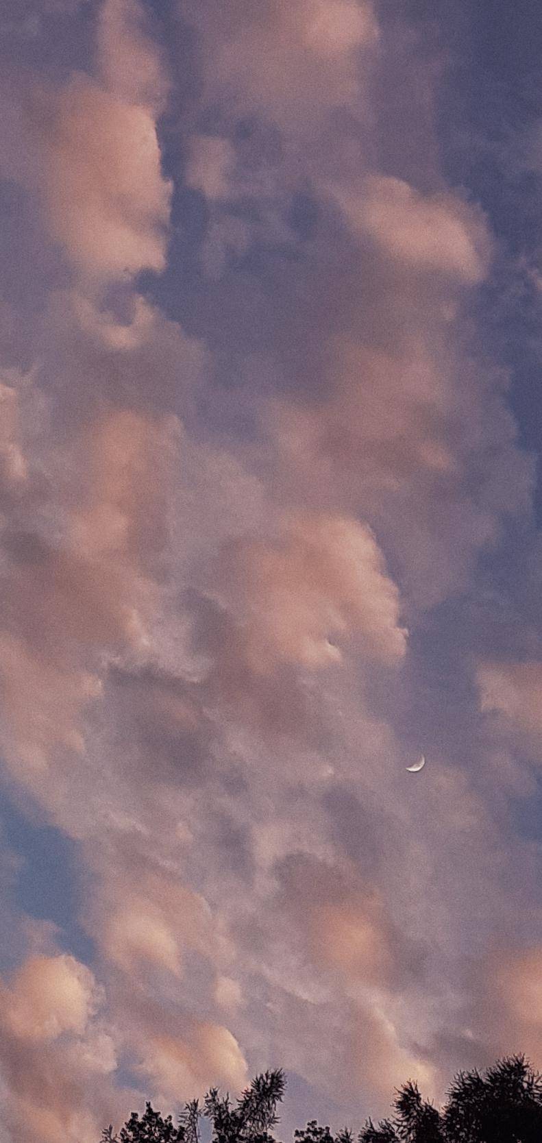 Aesthetic enough? | Scrolller