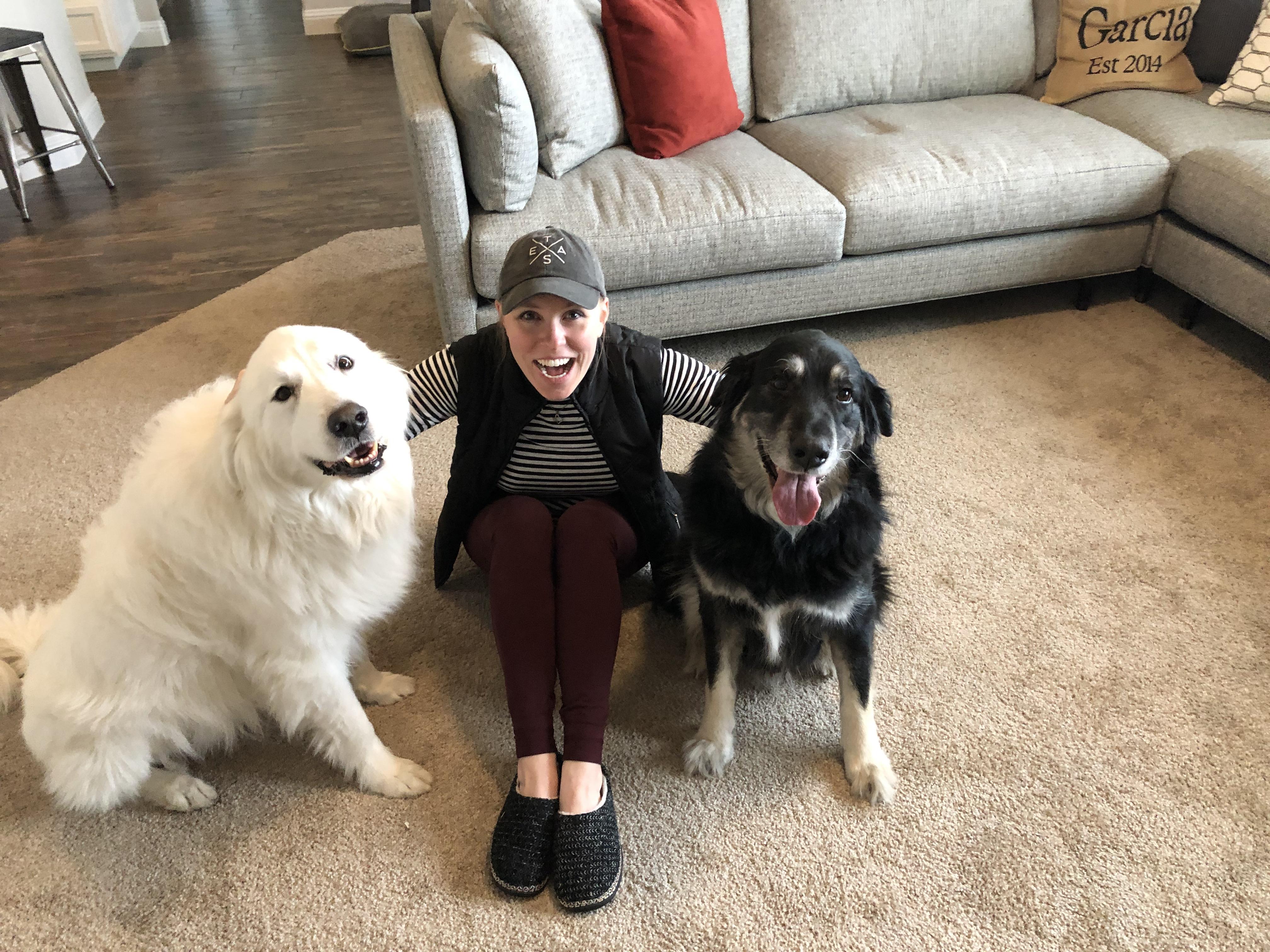 After 5 years of marriage my wife and I finally decided to take the plunge of dog ownership! We ...