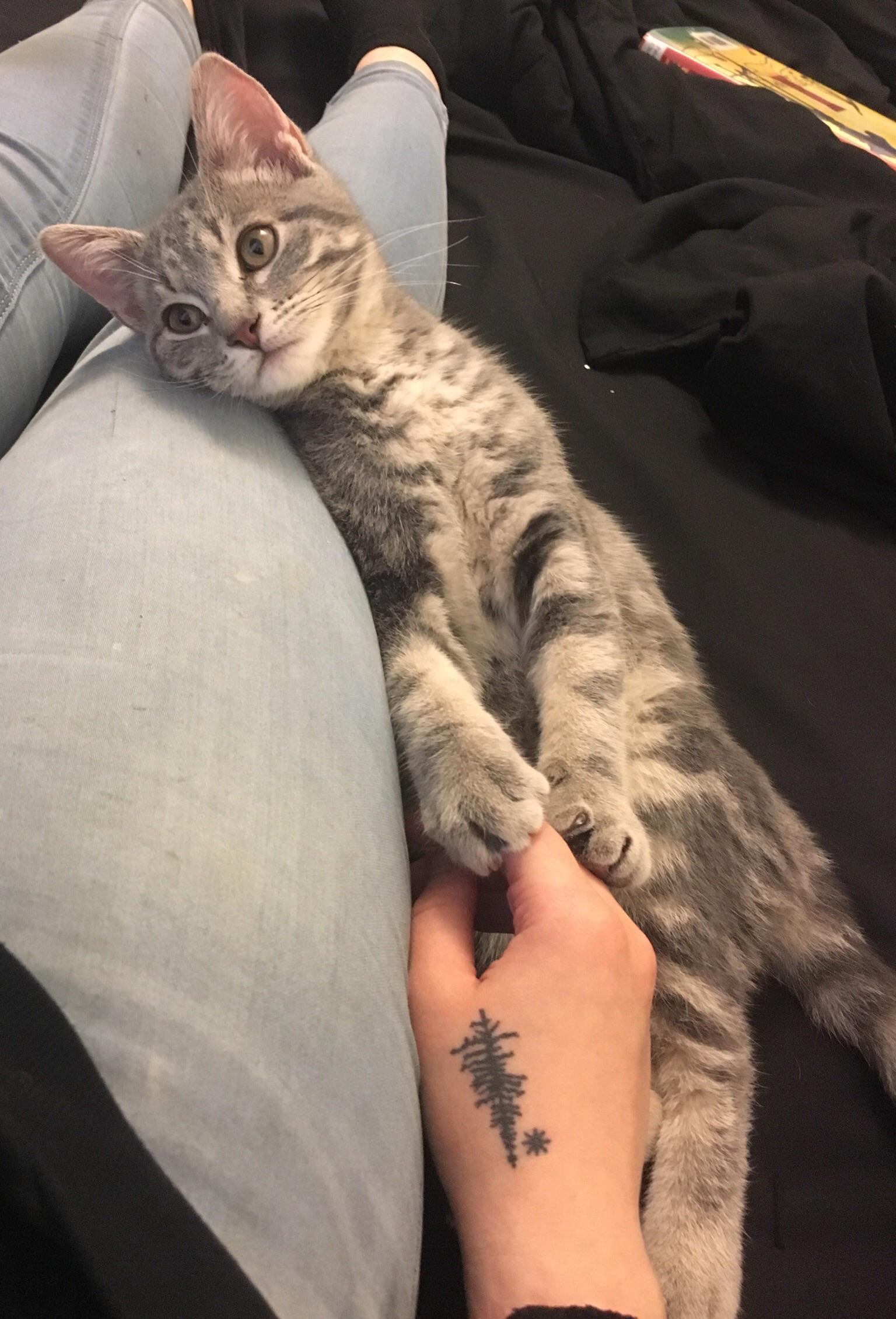 After work cuddles | Scrolller