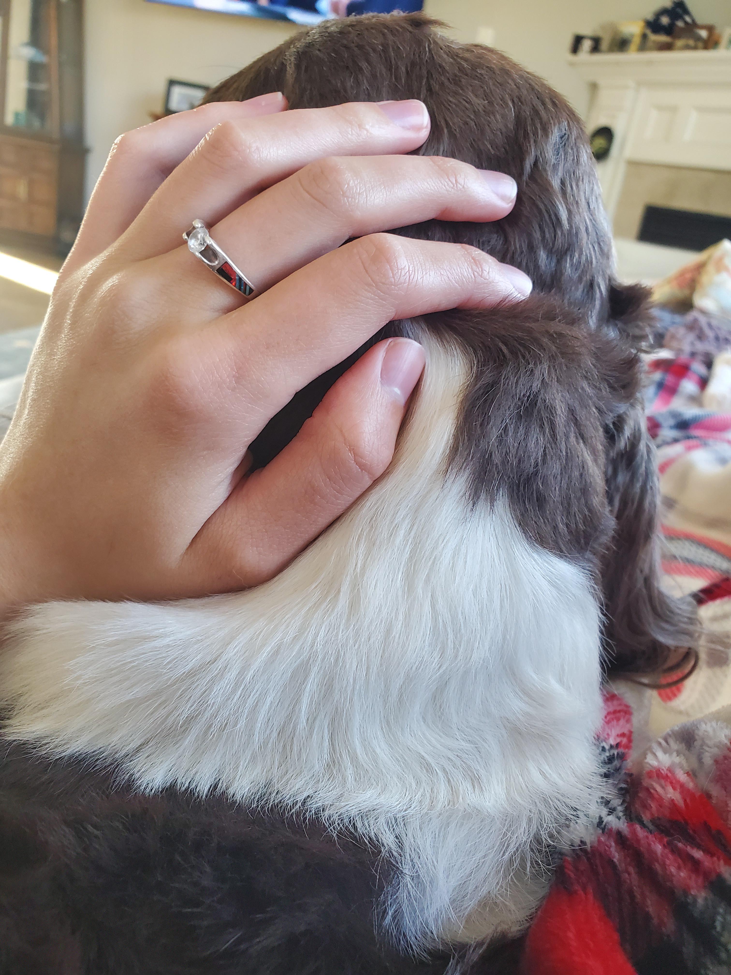 Afternoon snuggles | Scrolller