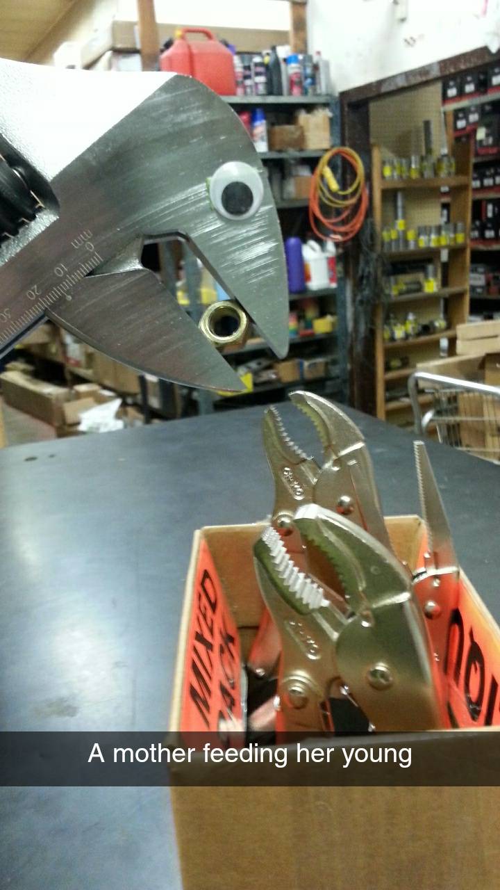 AH YES, A BEAUTIFUL SIGHT | Scrolller