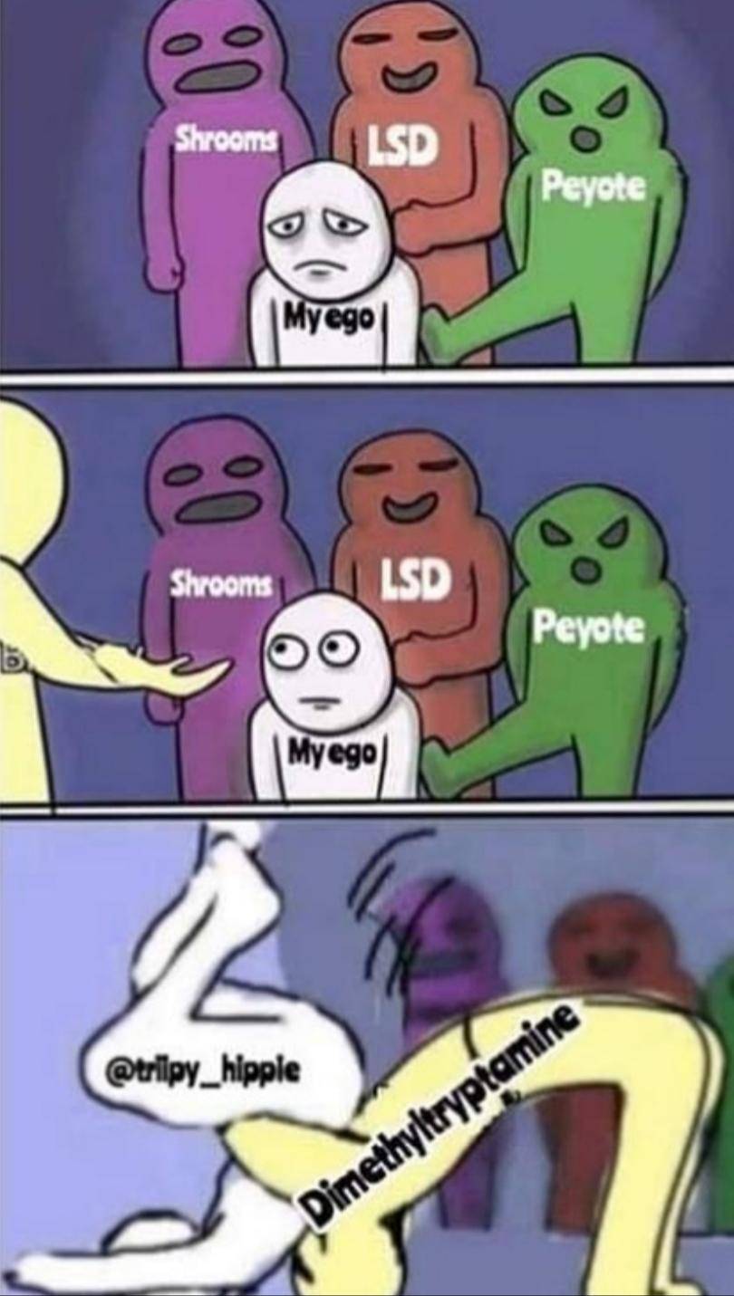 Ahah so true🧙🏼‍♂️ | Scrolller