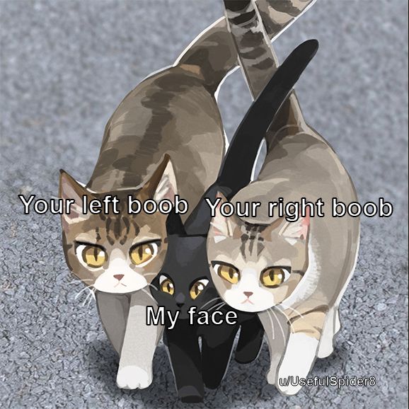 Ahh dreams | Scrolller