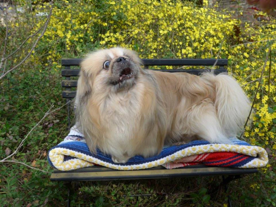 Ahhhh!!! | Scrolller