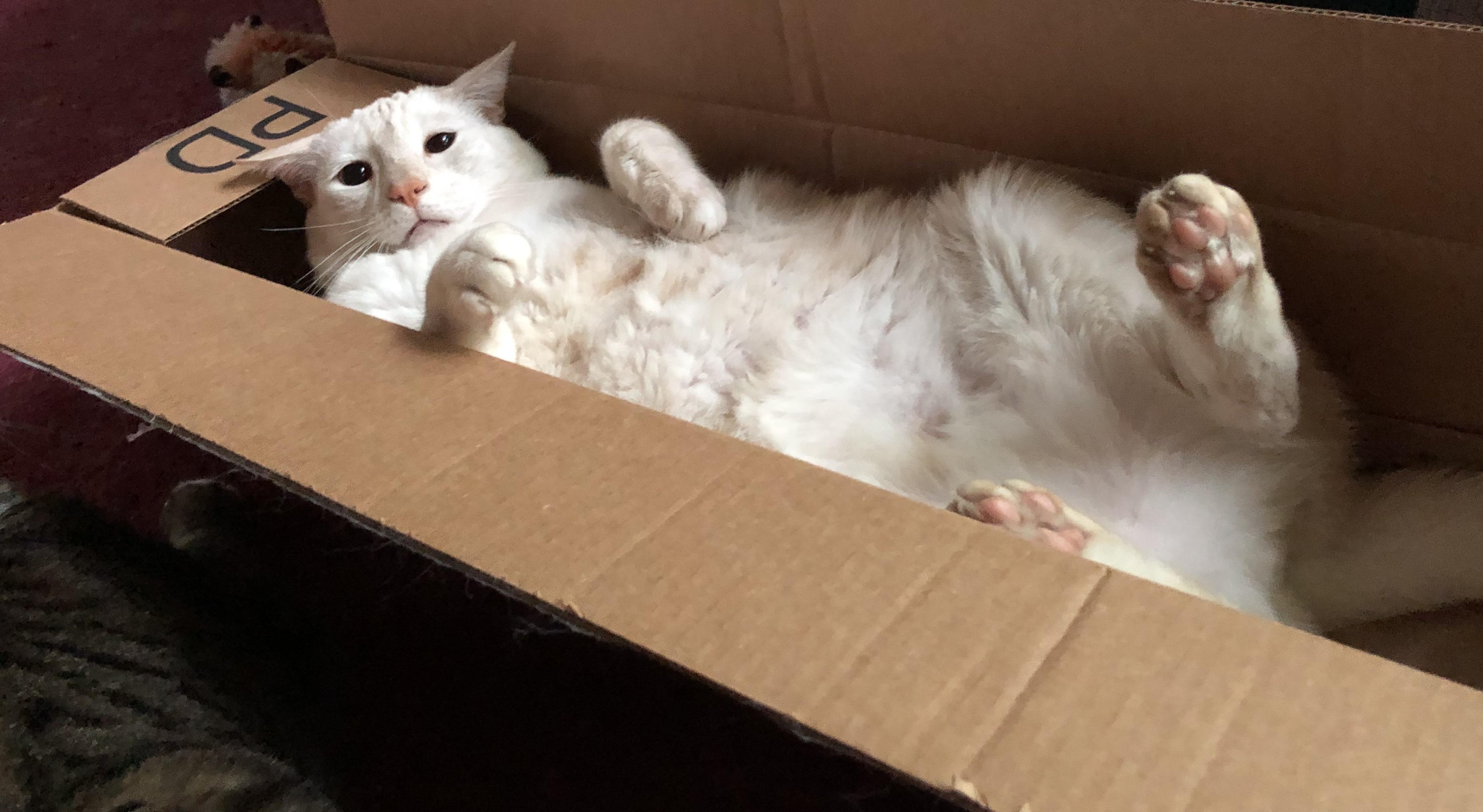 Airmail Preparing for Takeoff | Scrolller